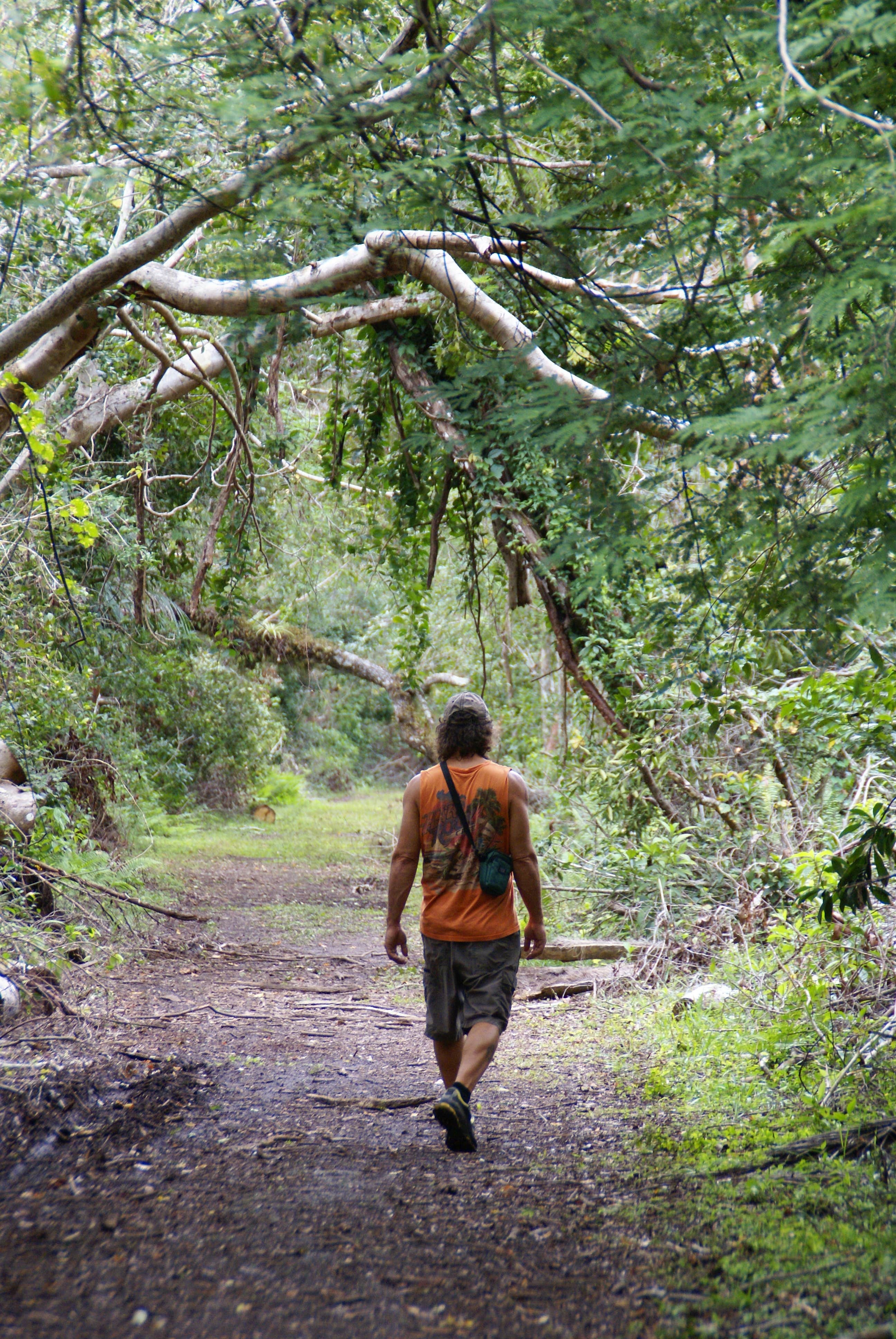 Alexander Springs Recreation Area Camping | Altoona, FL