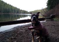 Council Lake Camping | The Dyrt