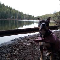 Council Lake Camping | Gifford Pinchot National Forest, Washington