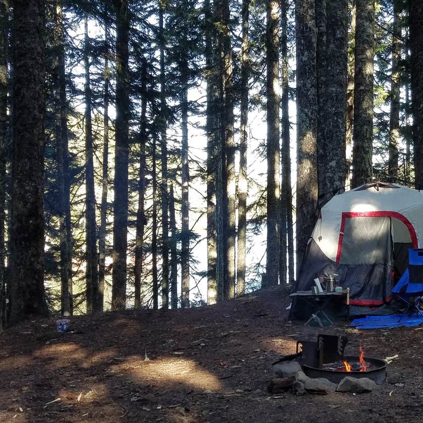 Council Lake Camping | Gifford Pinchot National Forest, Washington
