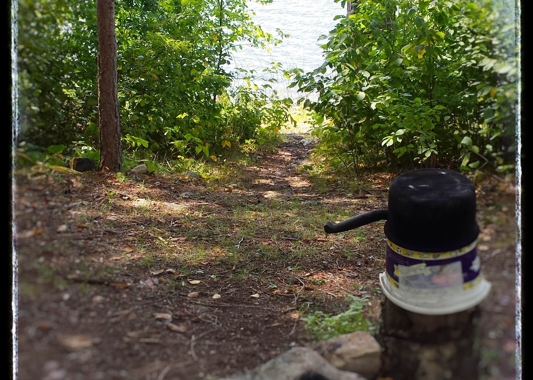 Waboose Lake - Paul Bunyan SF Camping | The Dyrt