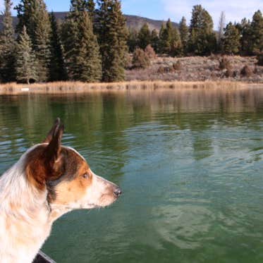 Blue Lake Camp Camping | The Dyrt