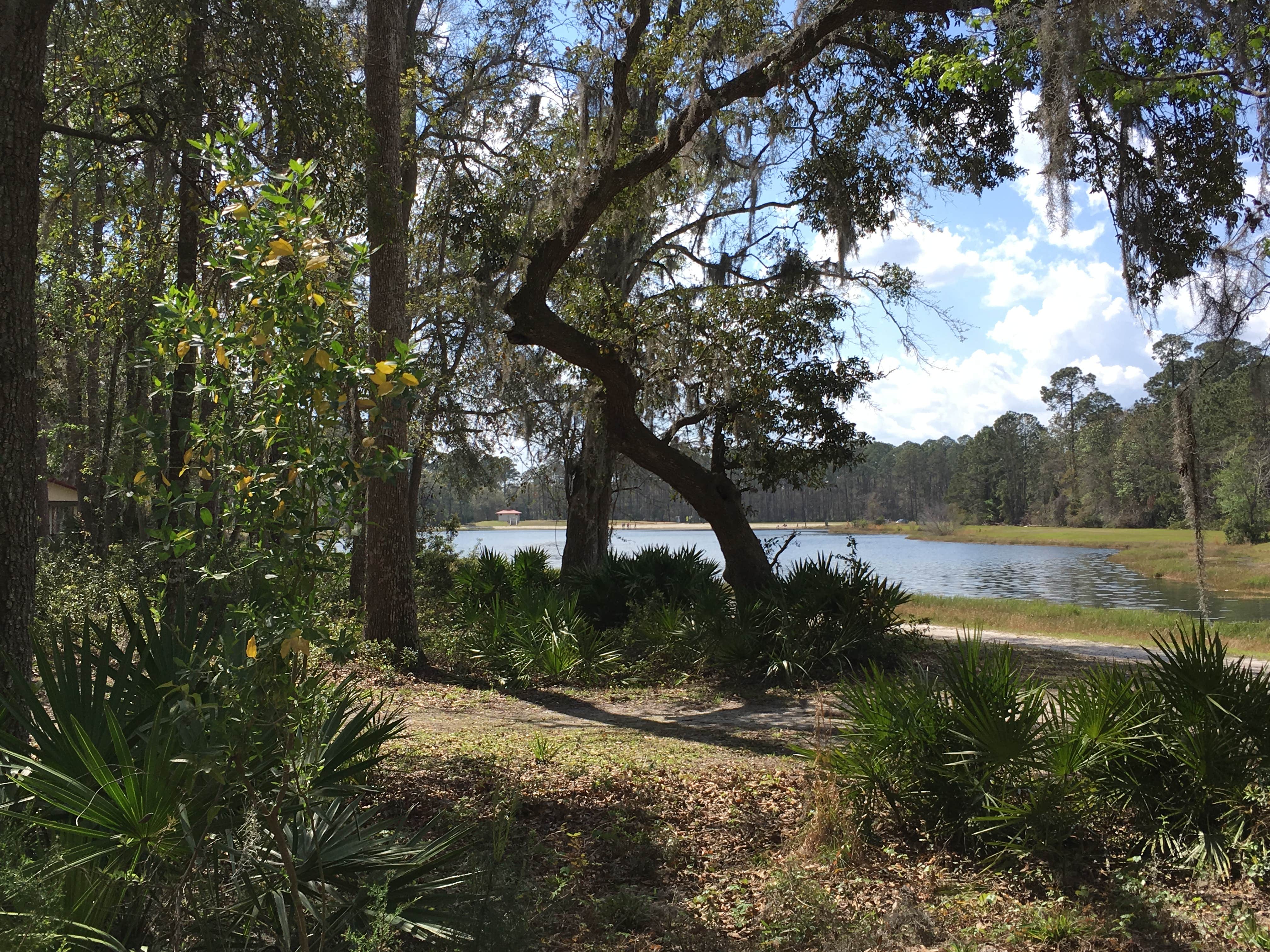 Blythe Island Regional Park Camping | Brunswick, Georgia
