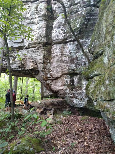 Kings River Falls Campground | Pettigrew, Arkansas