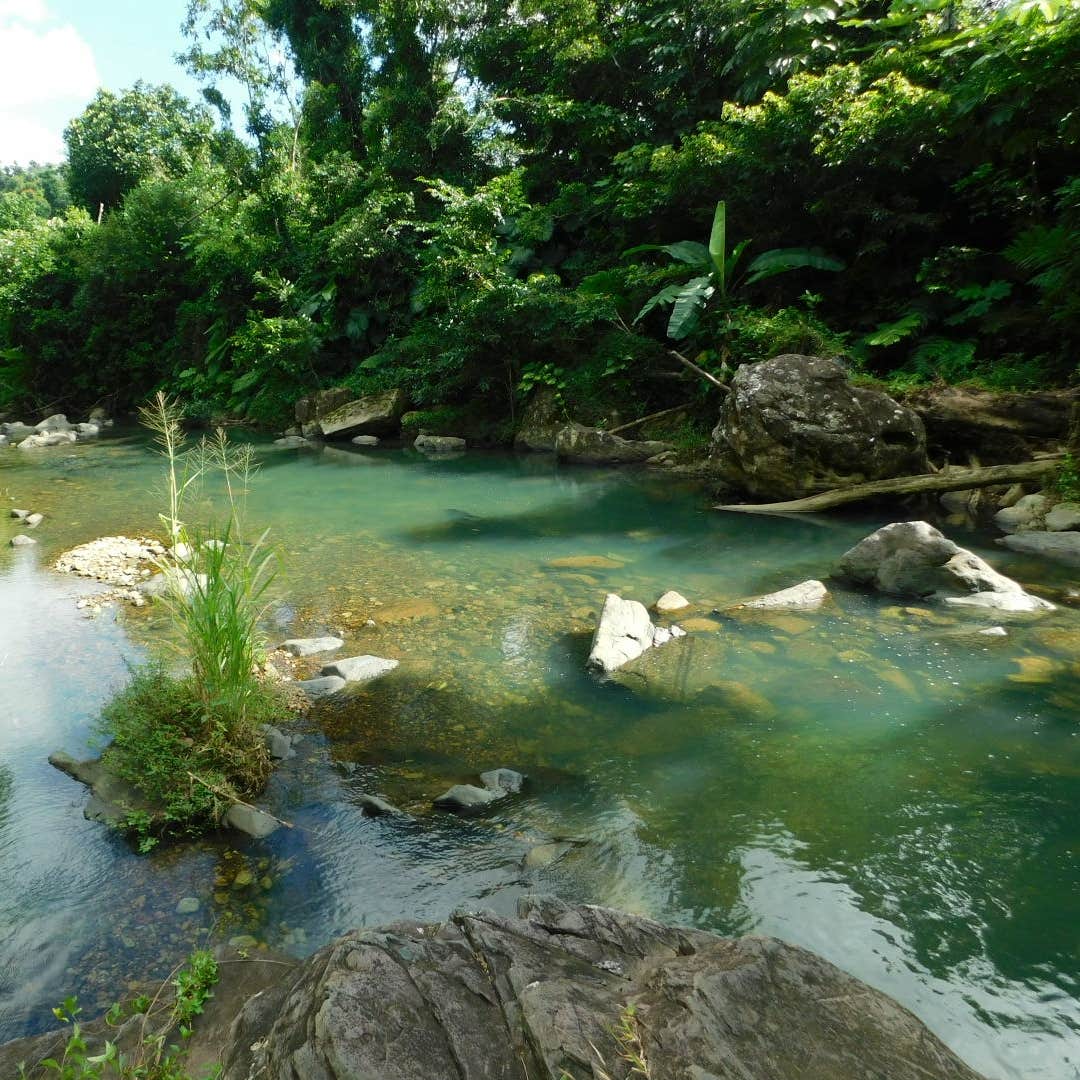 Hacienda Monte Rey Camping | The Dyrt