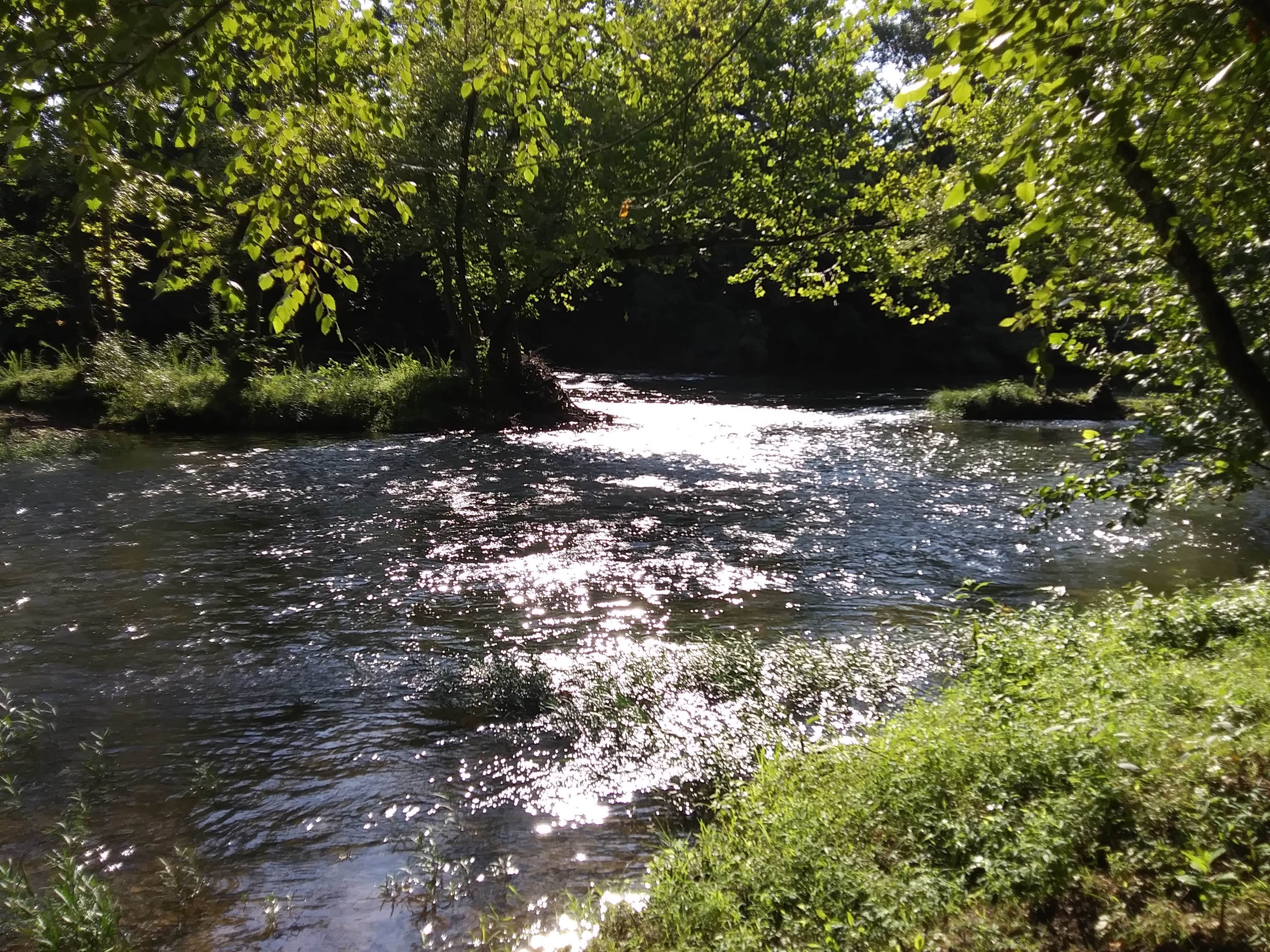 Elk River Camp and RV Park Camping | The Dyrt