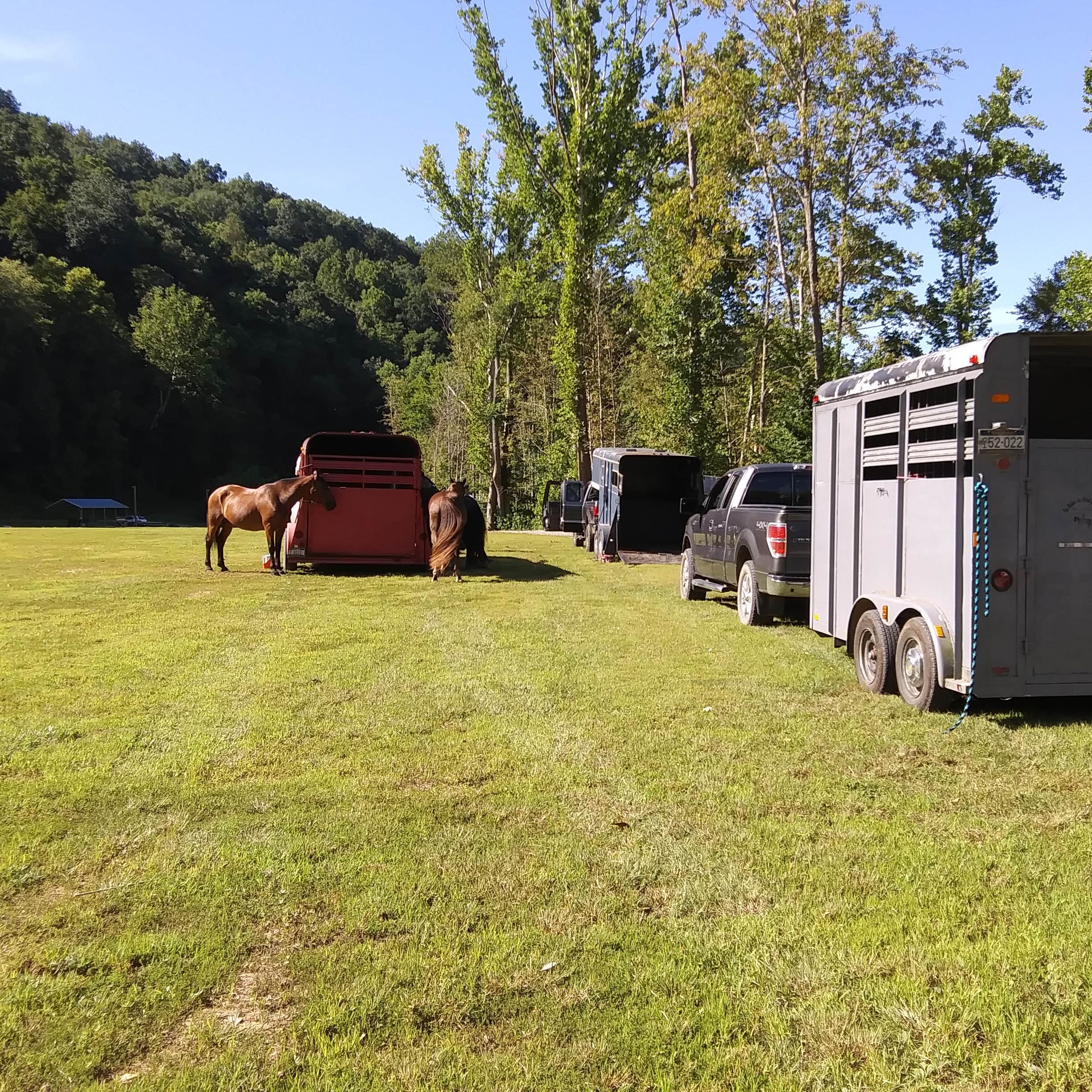 Elk River Camp and RV Park Camping | The Dyrt