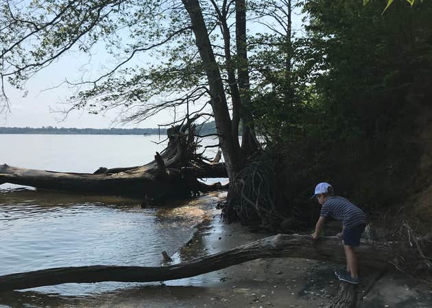 Chippokes State Park Camping | The Dyrt