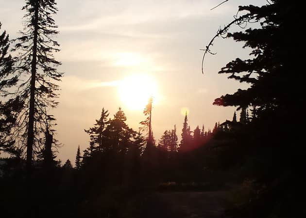 Mount Spokane State Park Camping | The Dyrt