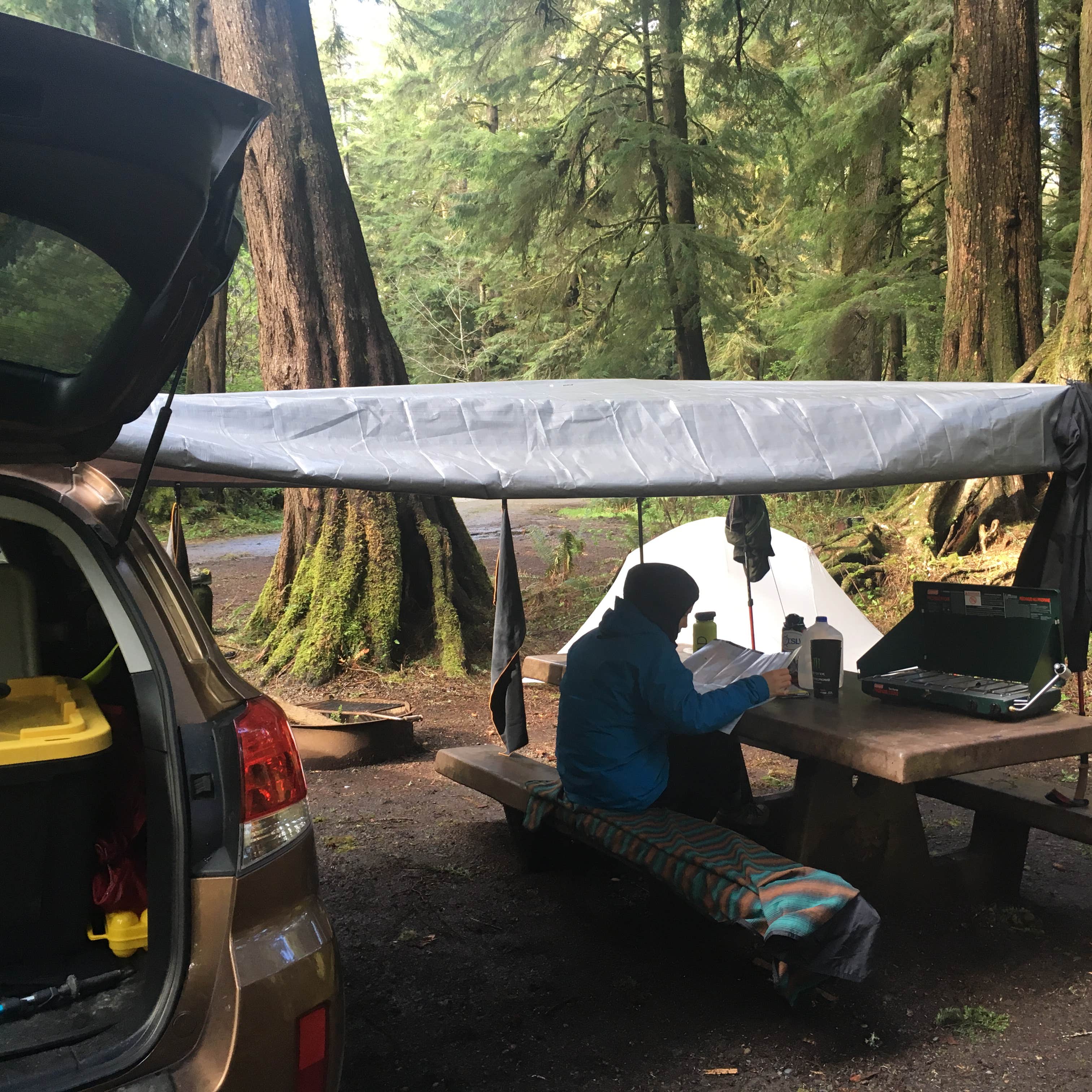 Mora Campground Camping | The Dyrt