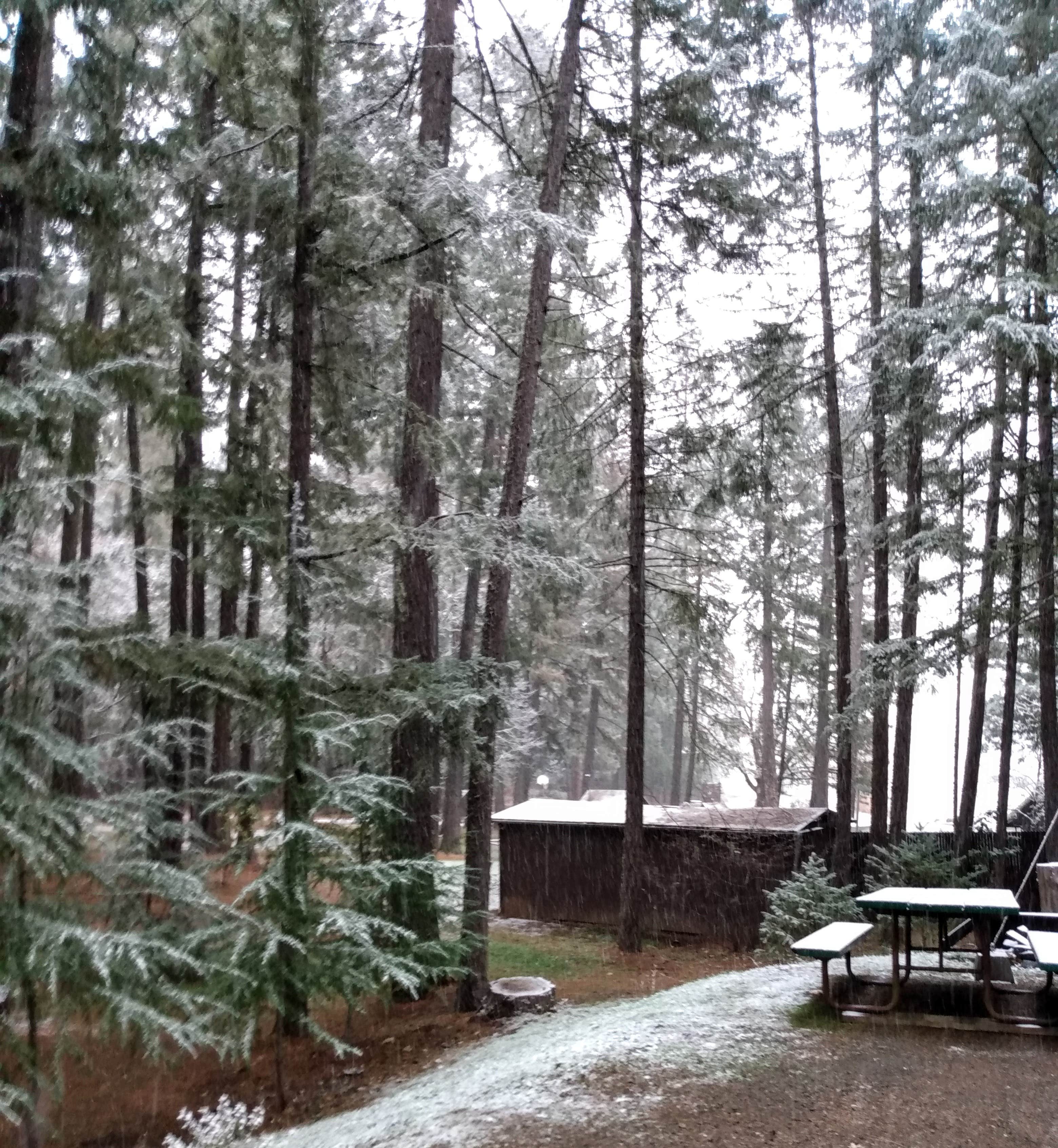 Lake Selmac County Park Camping | Selma, OR