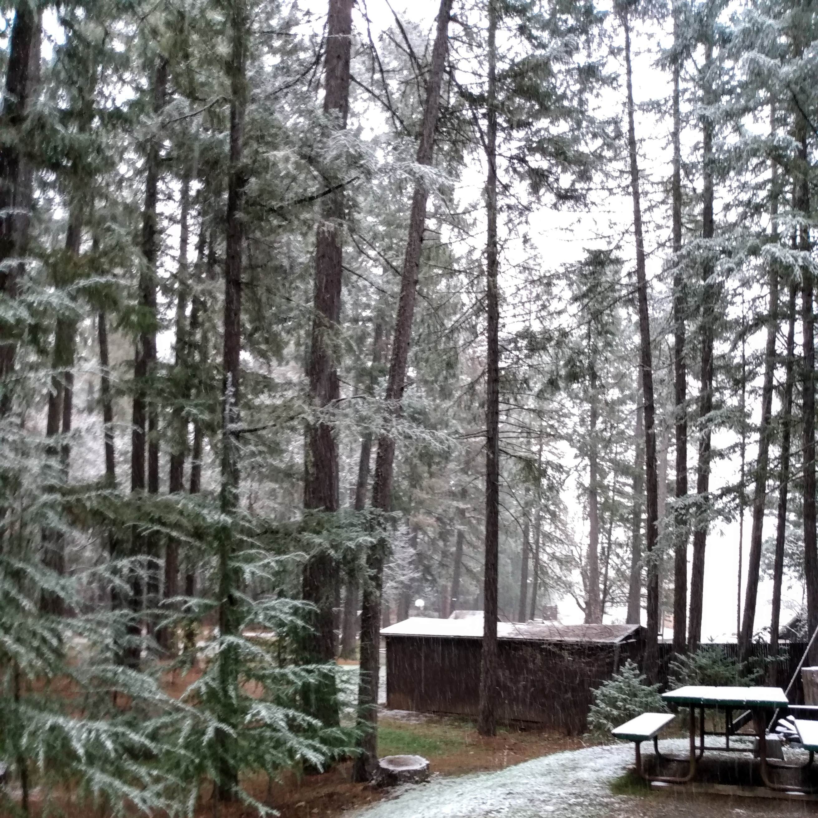 Lake Selmac County Park Camping | Selma, Oregon