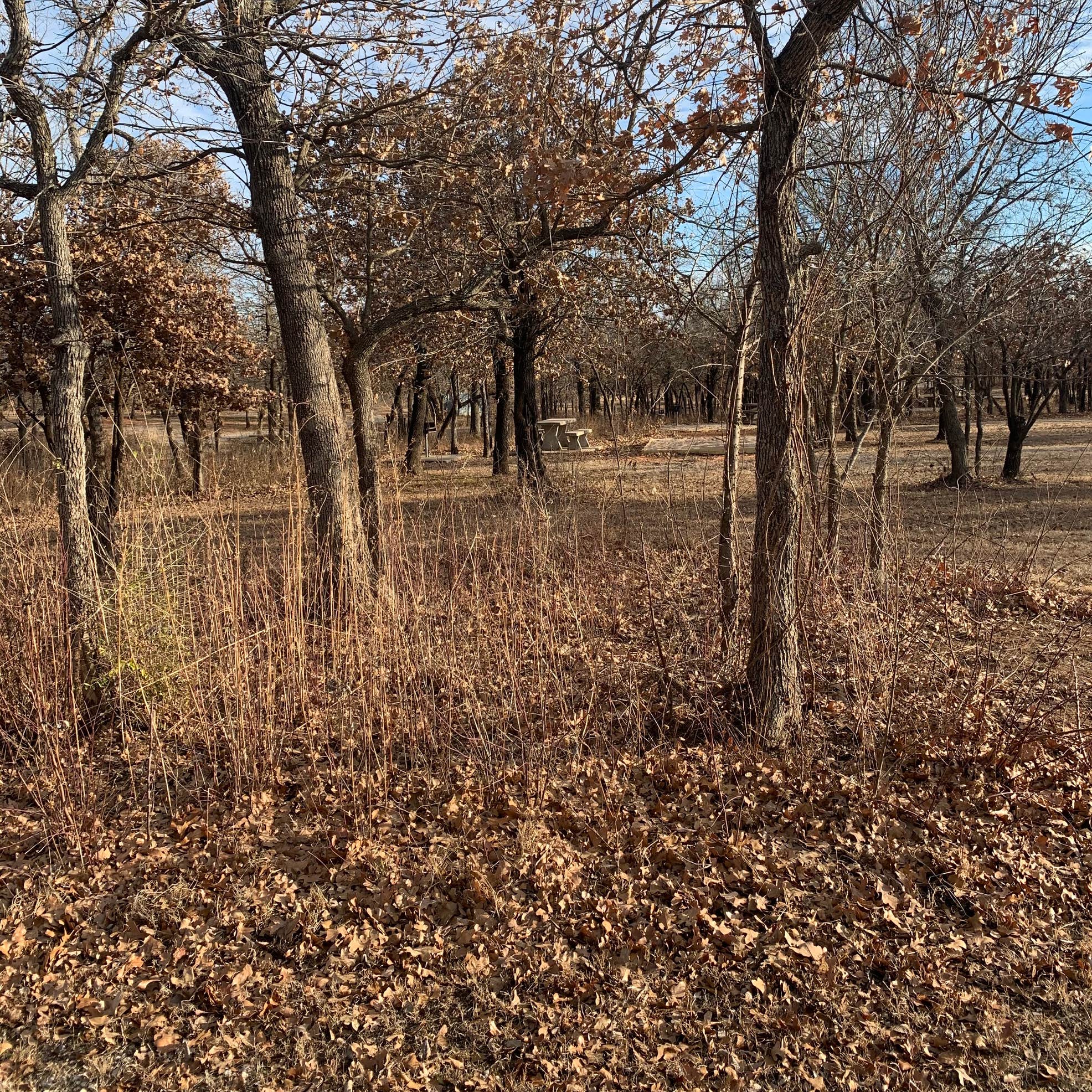 Lake Stanley Draper Camping | The Dyrt