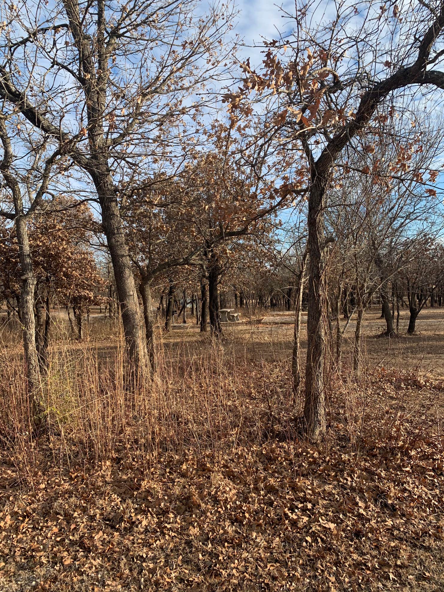 Lake Stanley Draper Camping | The Dyrt