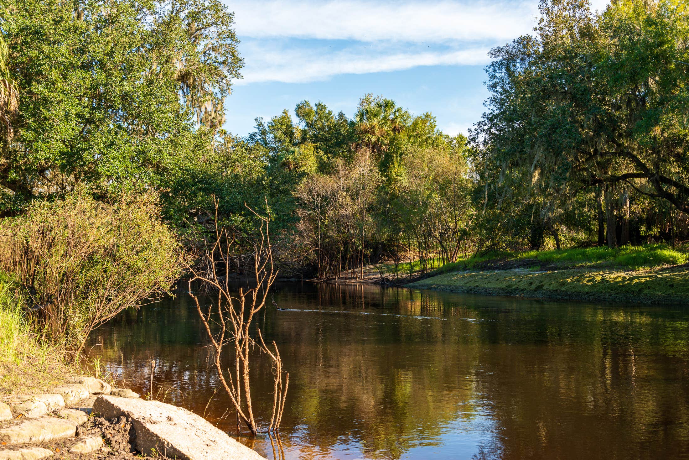 Thousand Trails Peace River Camping | Ona, Florida