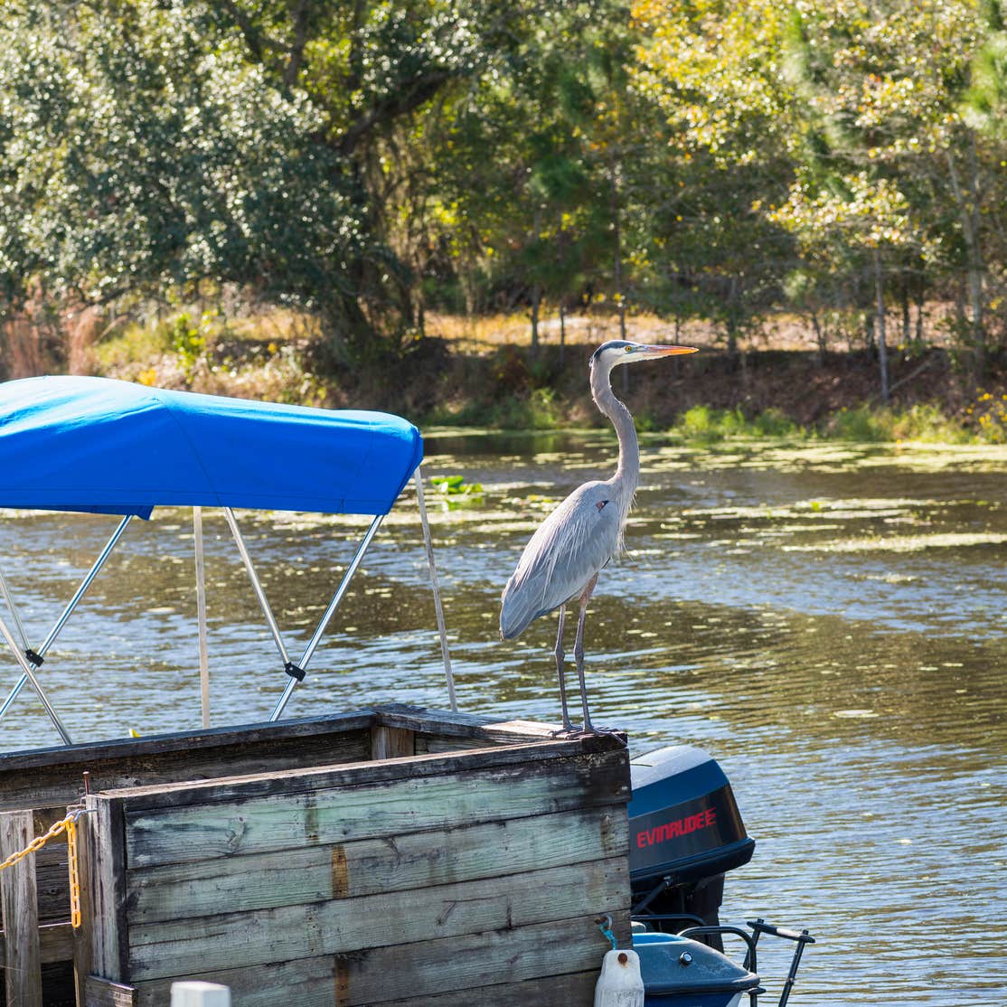 Buttonwood Bay RV Resort, A Sun RV Resort | Sebring, Florida