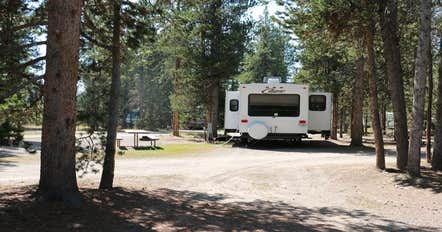 Headwaters Campground at Flagg Ranch Camping | The Dyrt