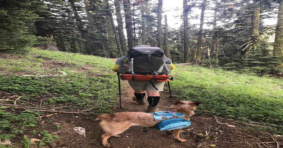 Camper-Submitted Photos of Howard Prairie Resort