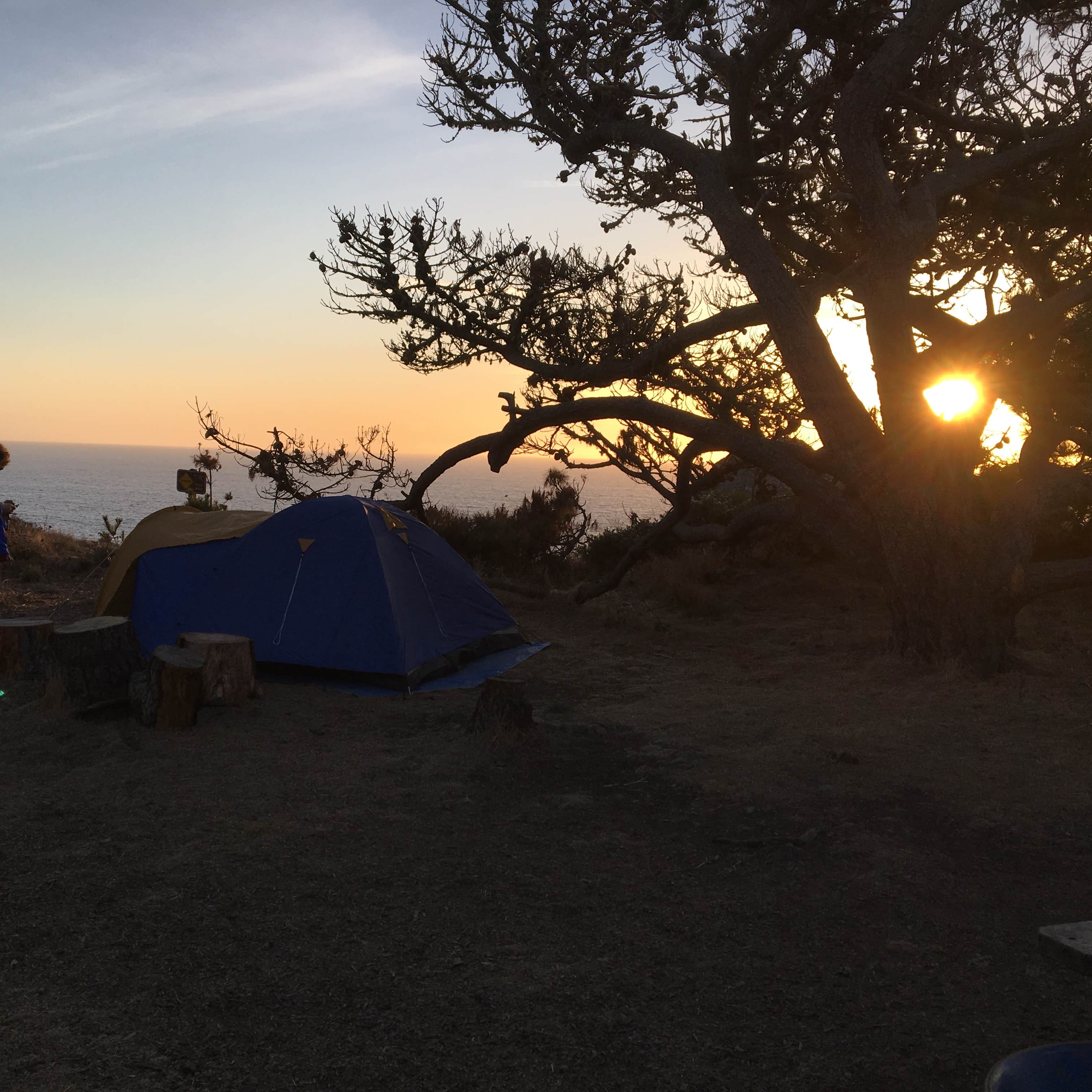Steep Ravine Campground — Mount Tamalpais State Park | Stinson Beach ...