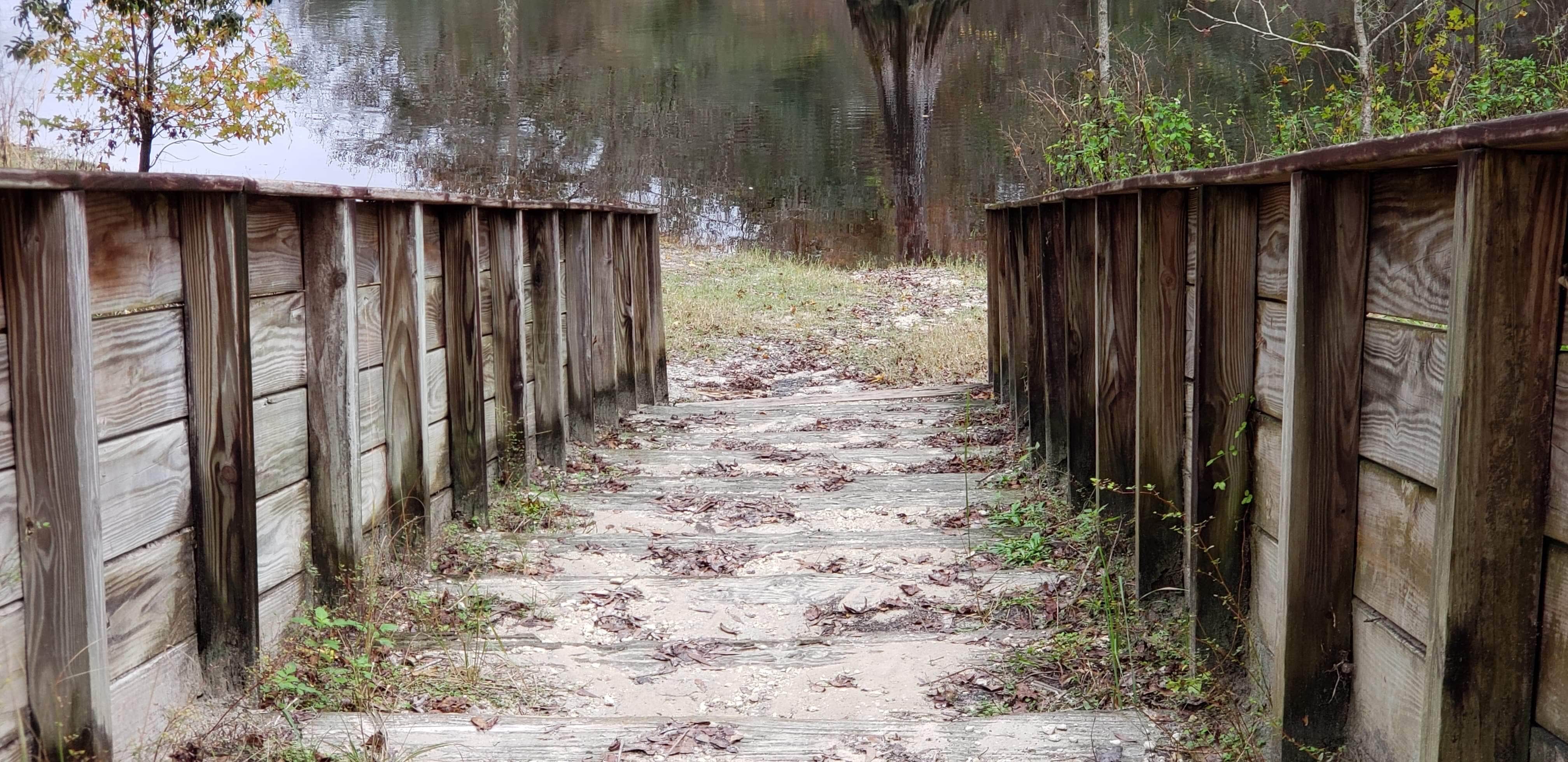 Crooked River Campground — Withlacoochee State Forest | Nobleton, Florida