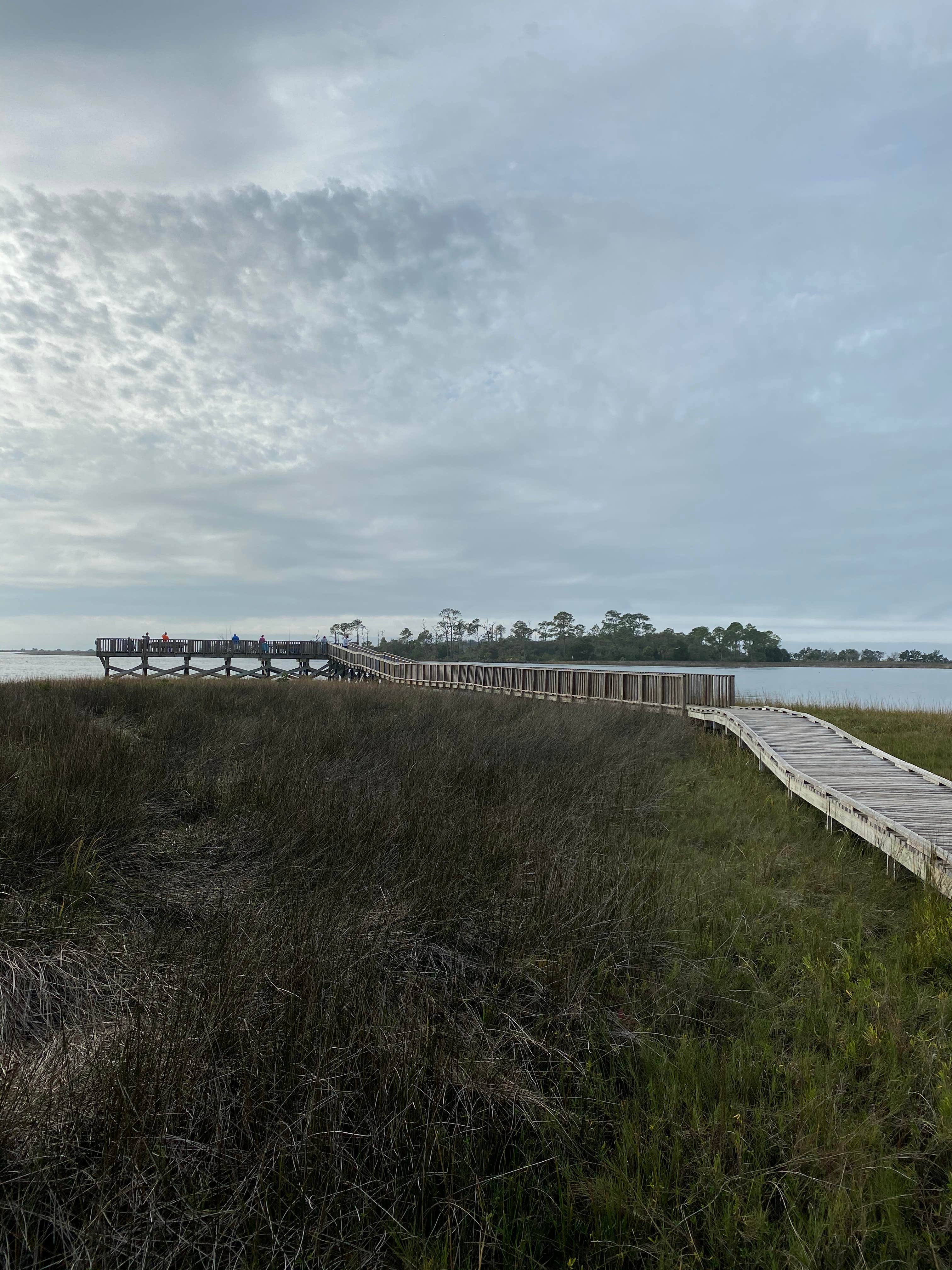 Shell Mound Campground | Cedar Key, Florida