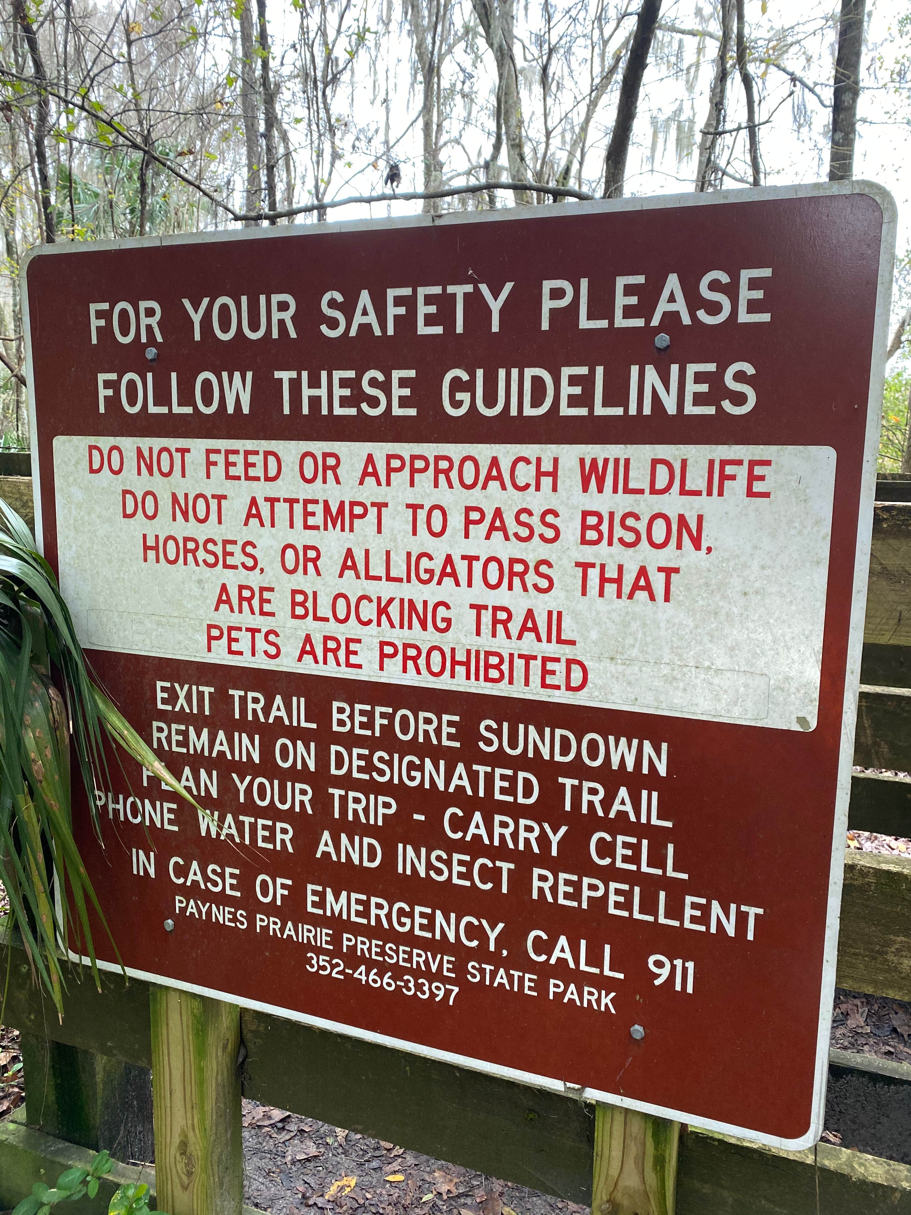 Paynes Prairie Preserve State Park Campground | Micanopy, Florida
