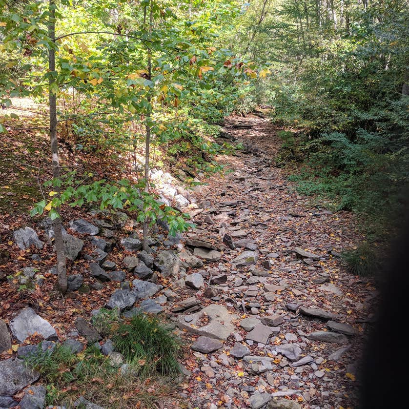 Riverside Campground Camping | The Dyrt