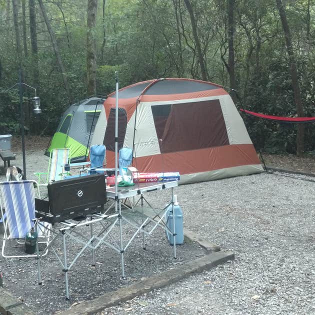 Lake Rabun Beach Recreation Area Camping | Lakemont, Georgia