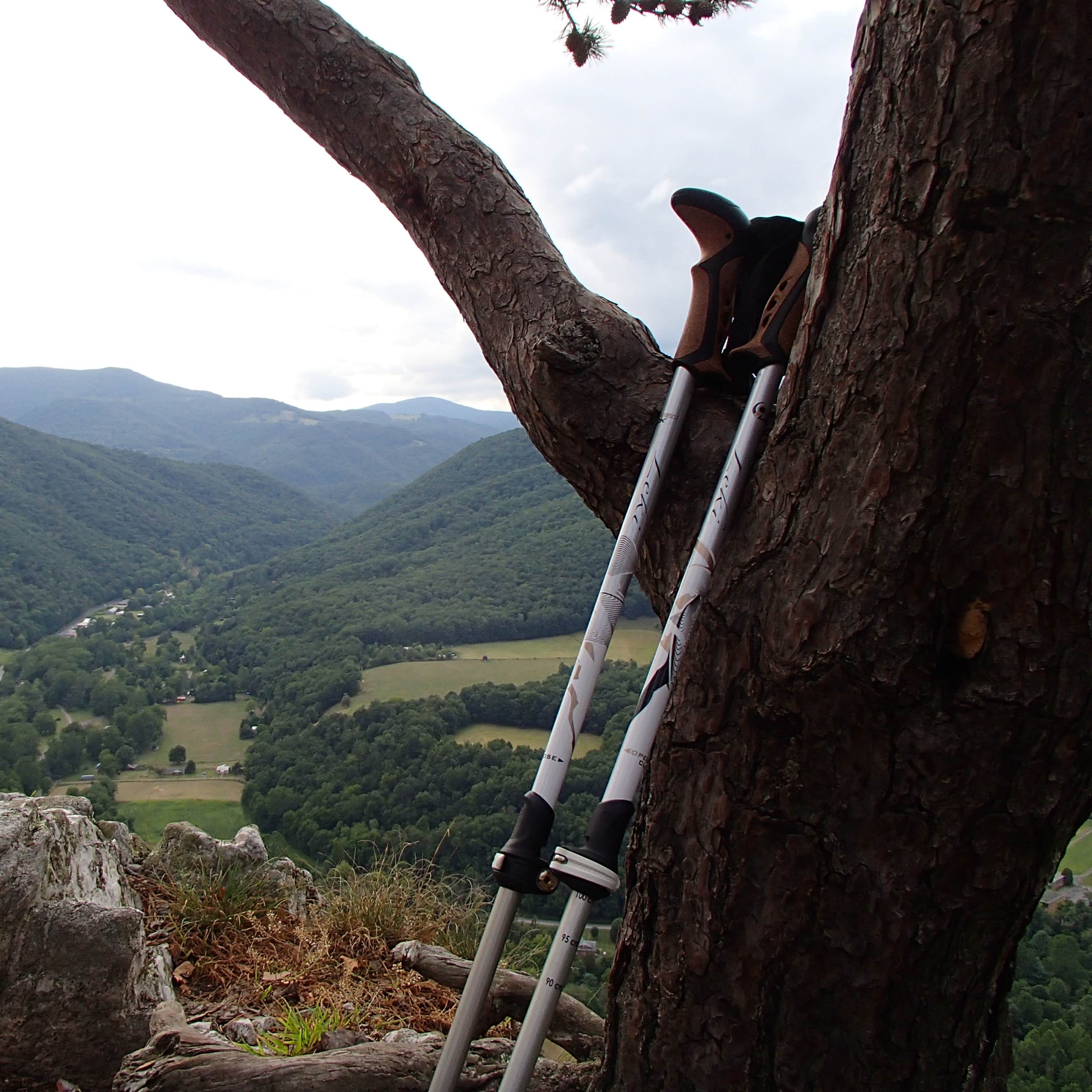 Seneca Shadows Camping | The Dyrt