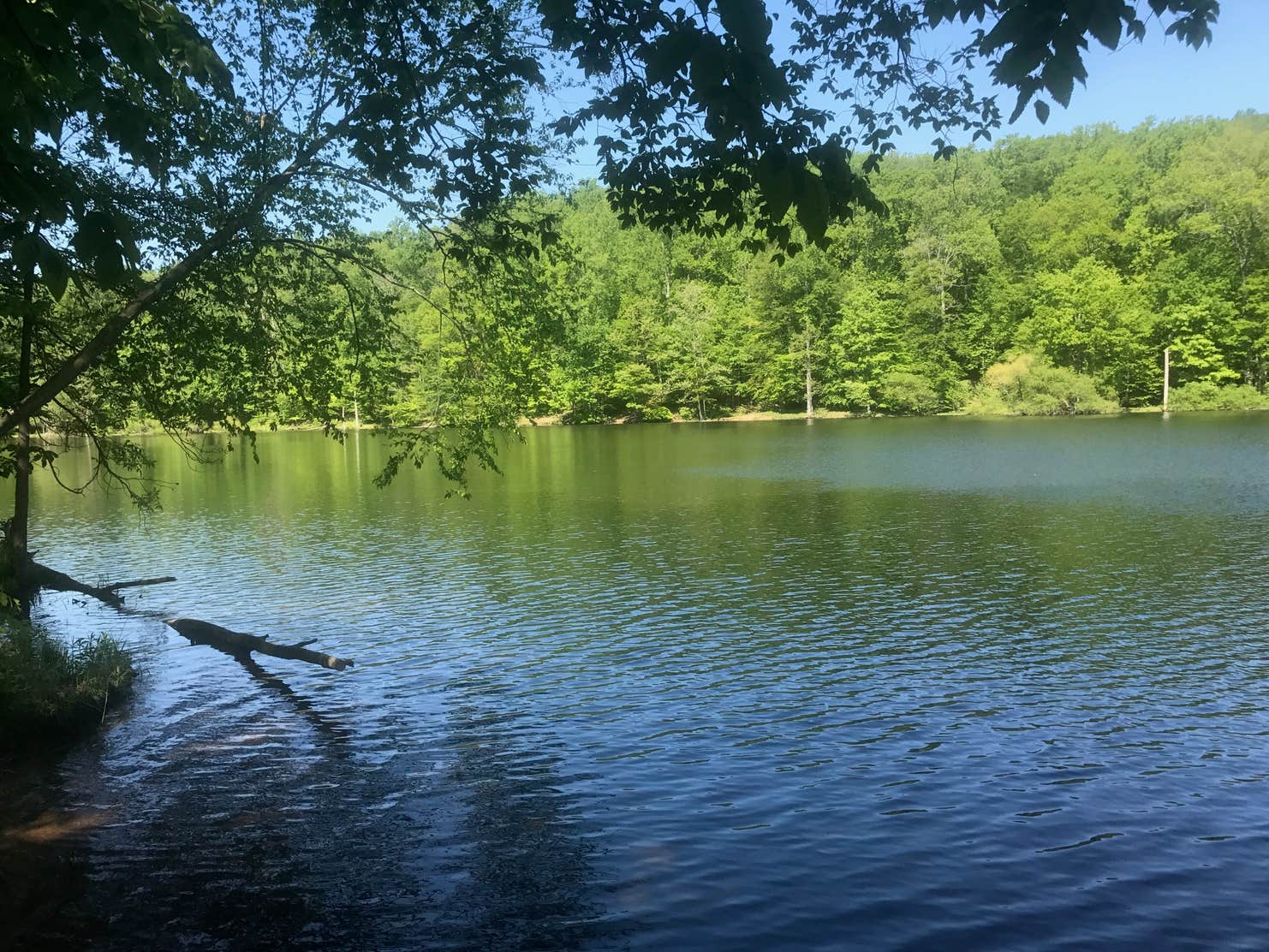 Houck - Cunningham Falls State Park | The Dyrt