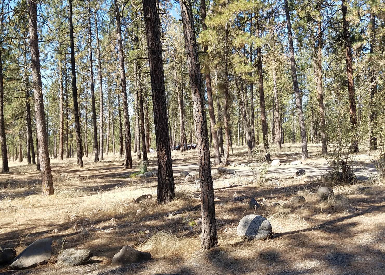 Lake Spokane Campground—Riverside State Park Camping | The Dyrt