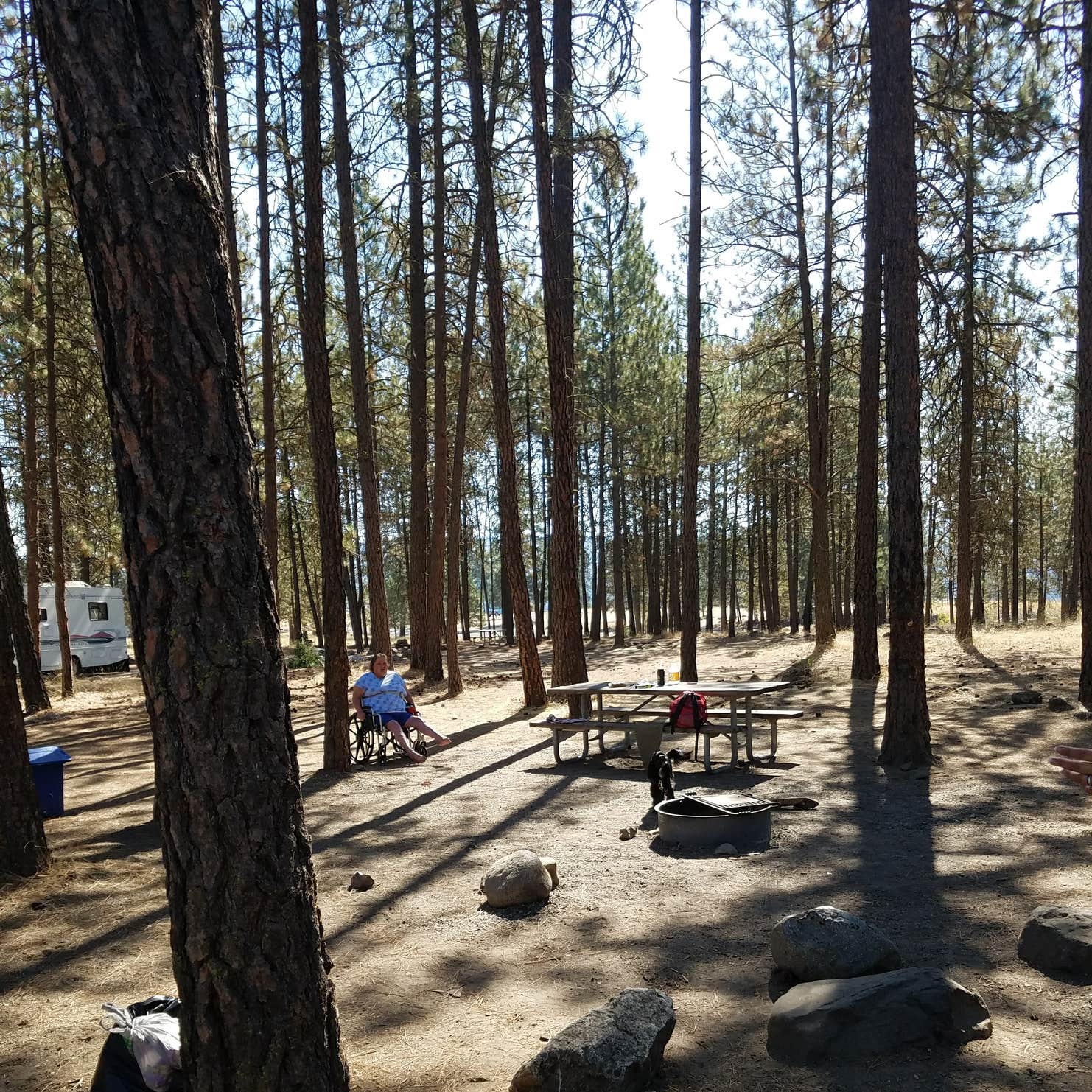 Lake Spokane Campground—Riverside State Park Camping | The Dyrt