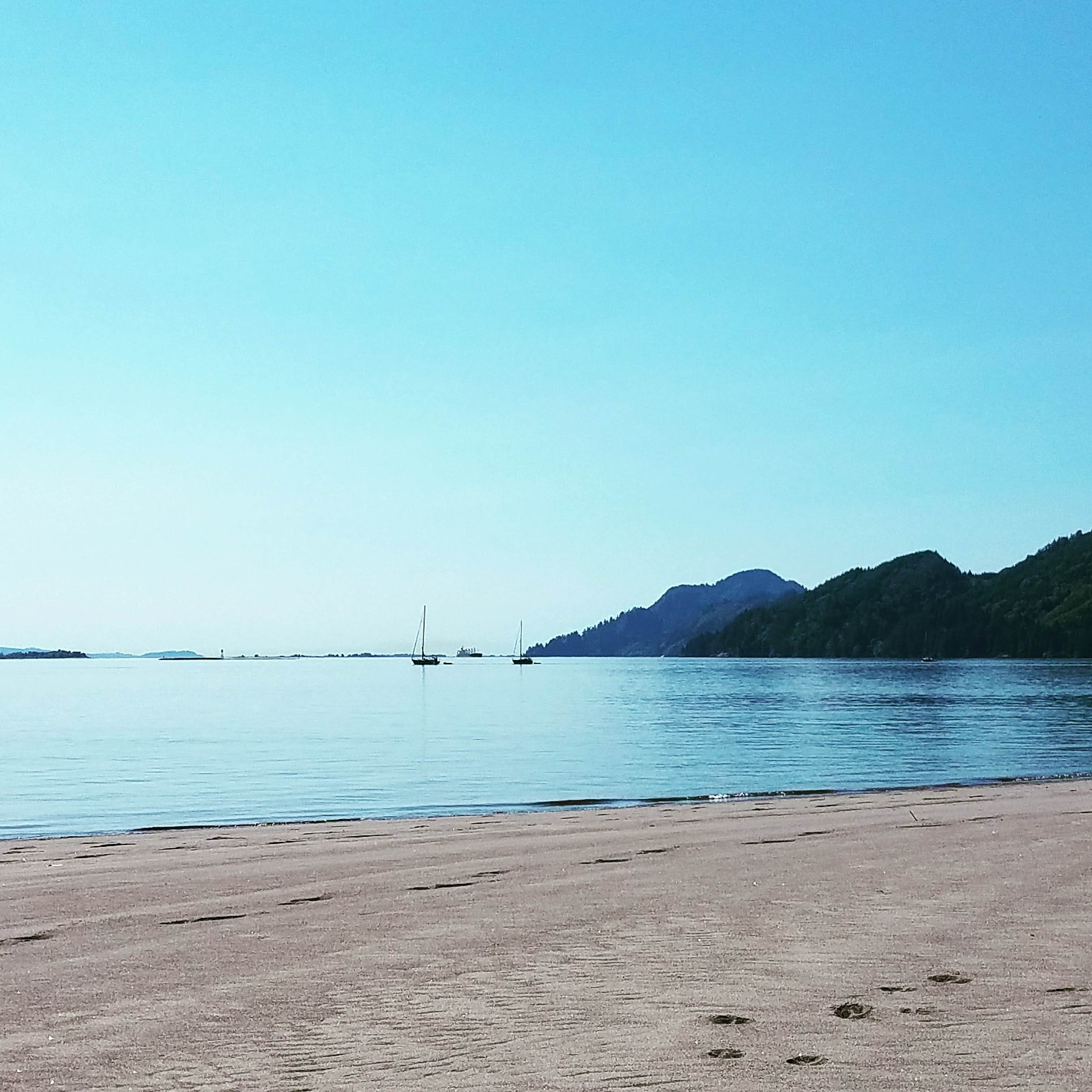 Skamokawa Vista Park Camping | Skamokawa, WA