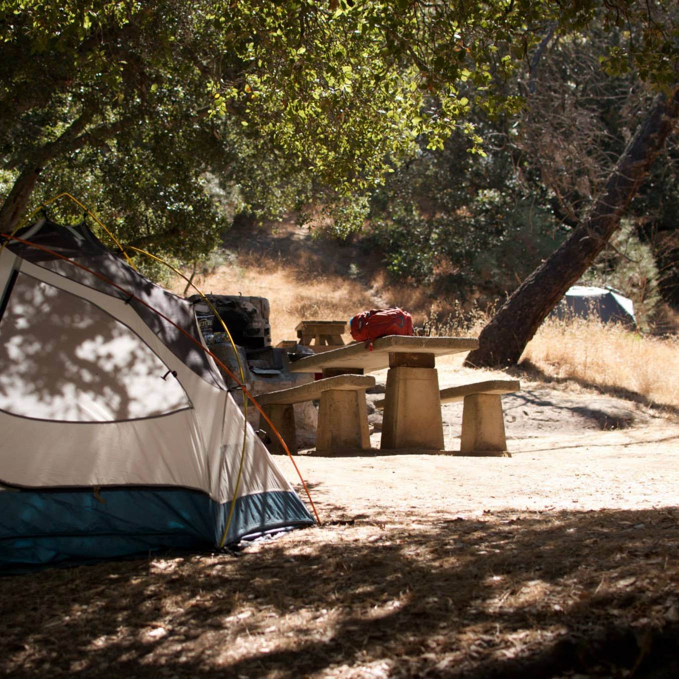 Mount Diablo State Park Camping | The Dyrt