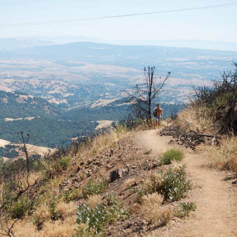 Mount Diablo State Park Camping | The Dyrt