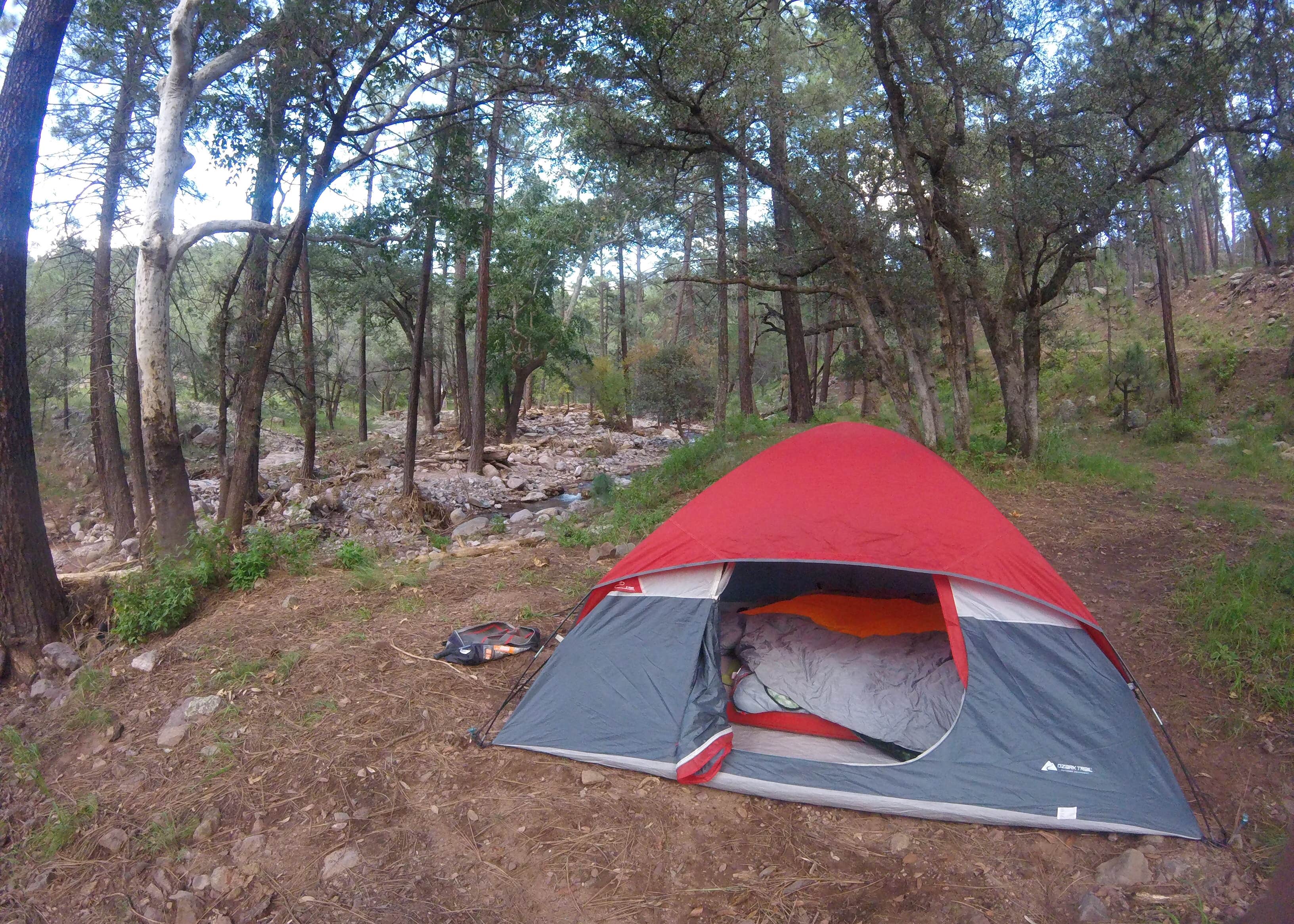 Sycamore Campground Camping | The Dyrt