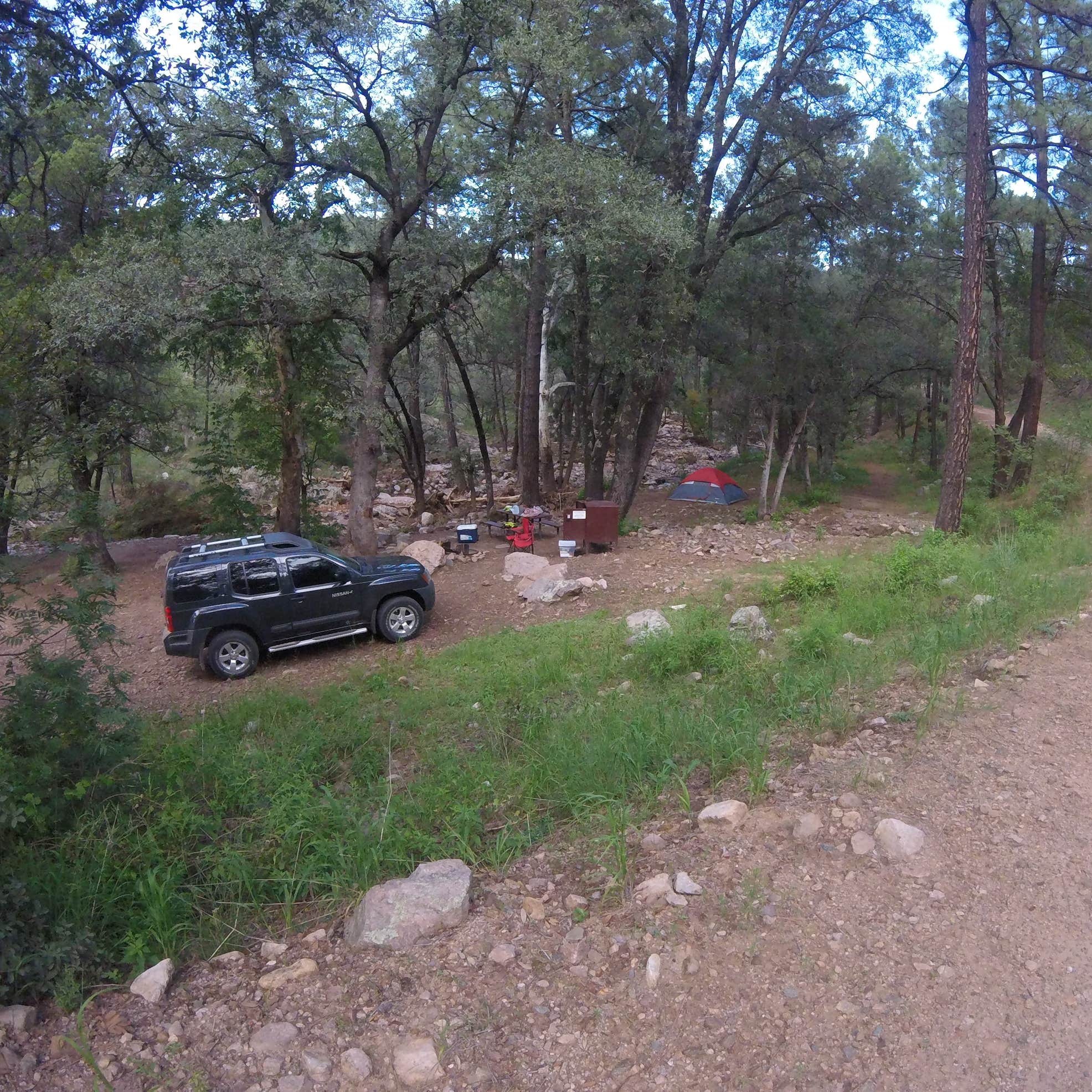 Sycamore Campground Camping | The Dyrt