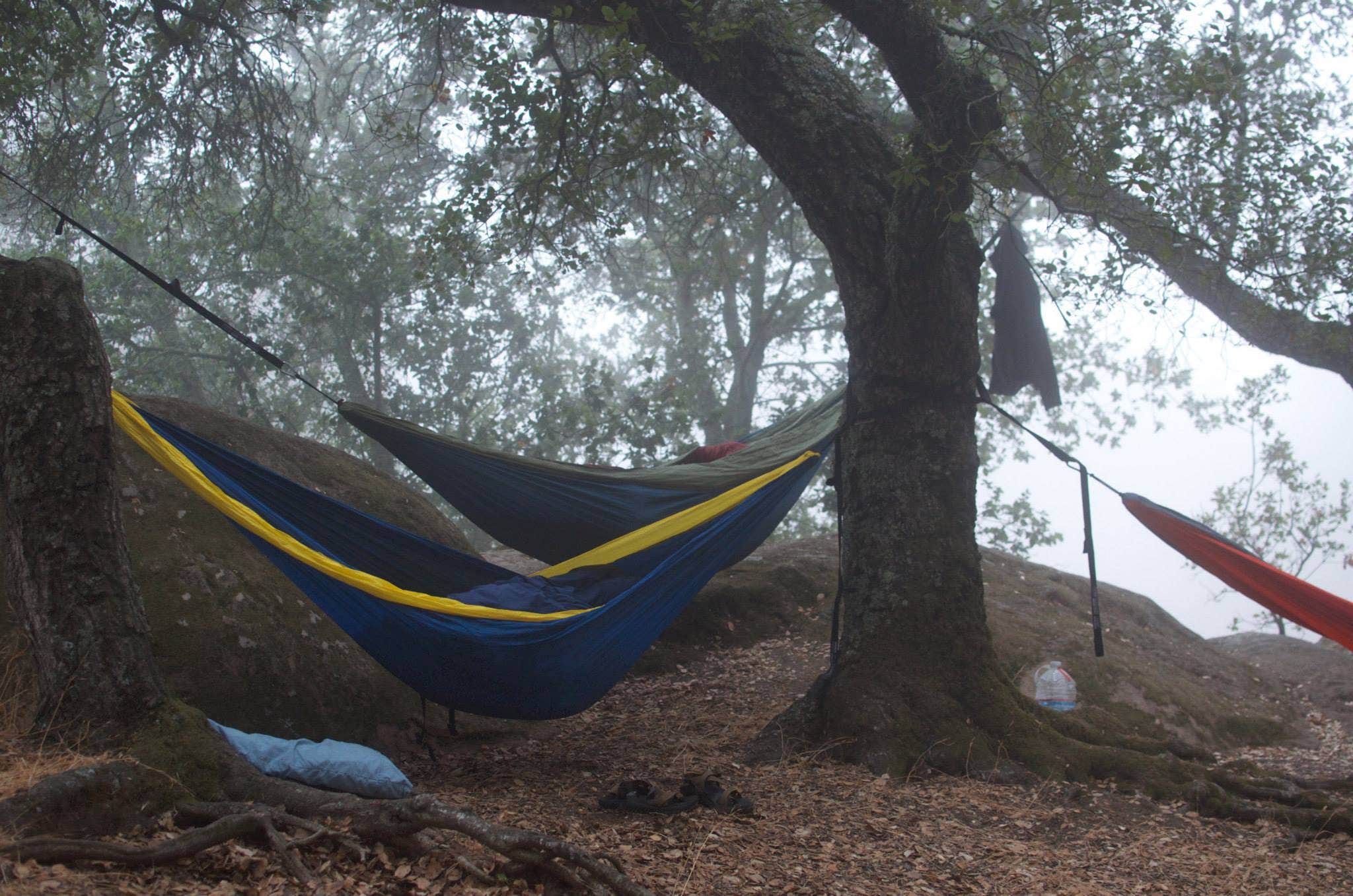 Live Oak Campground — Mount Diablo State Park Campground | Diablo ...
