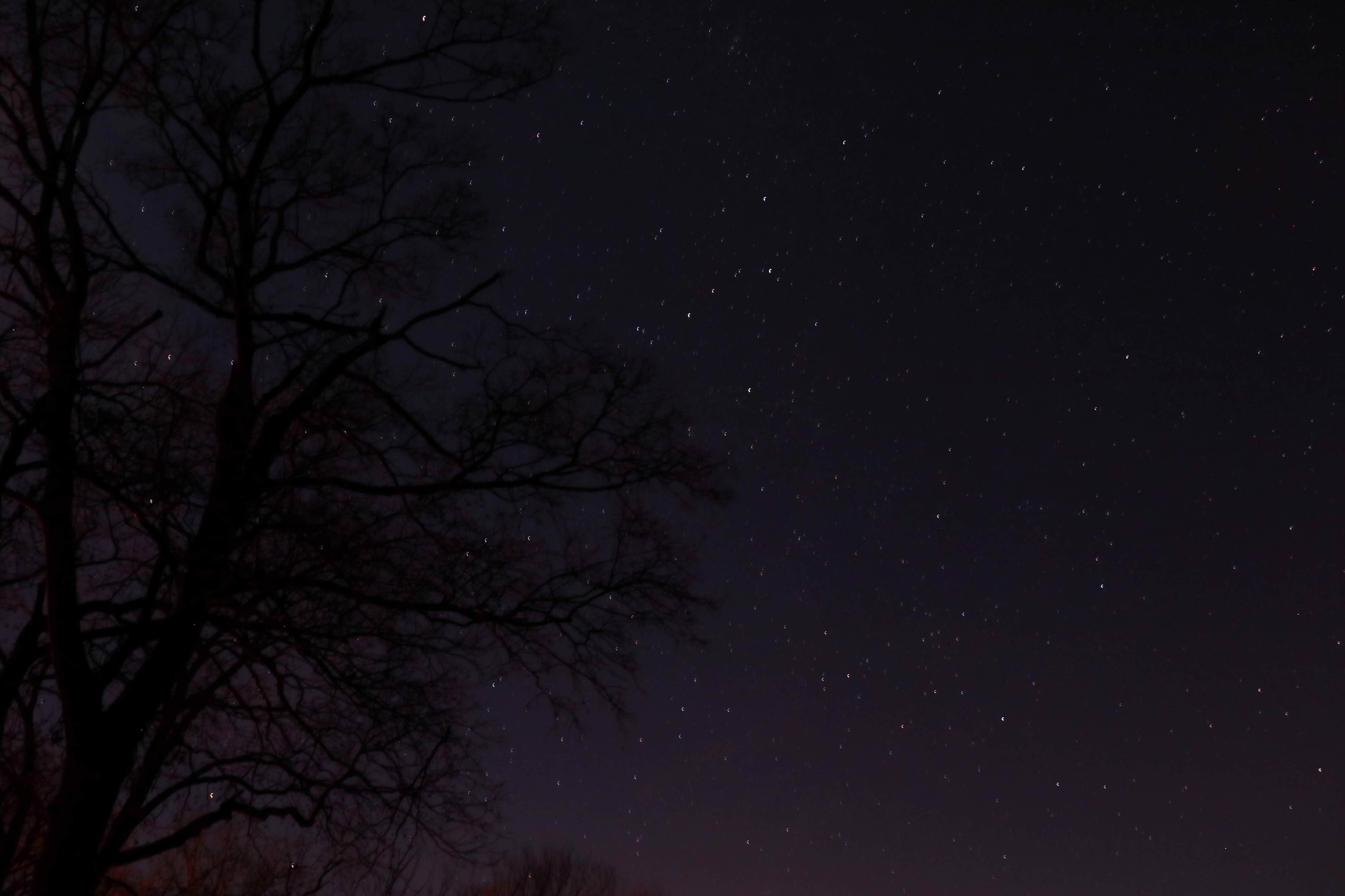 Marval Camping Resort Camping | The Dyrt