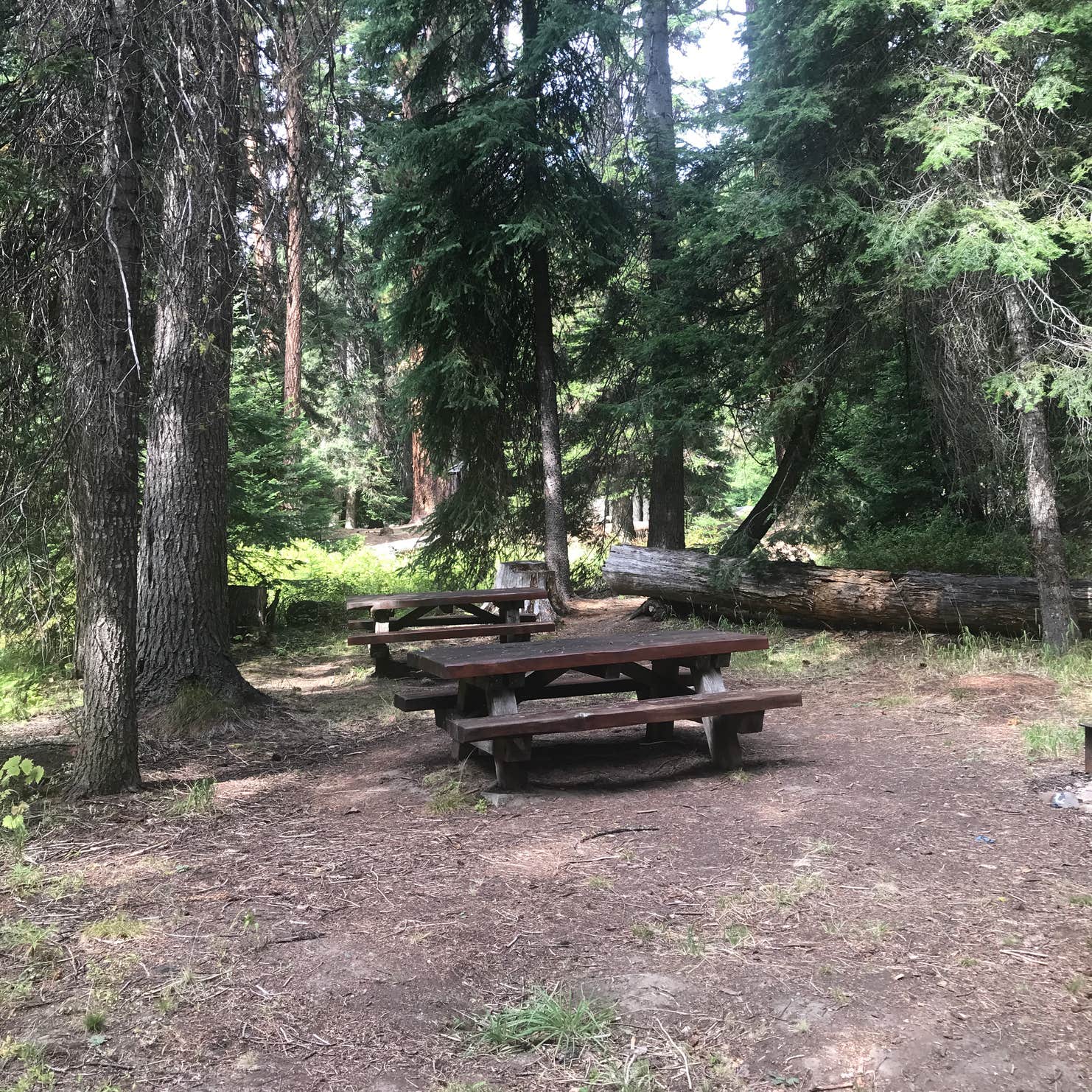 Wenatchee National Forest Swauk Campground | Cle Elum, WA