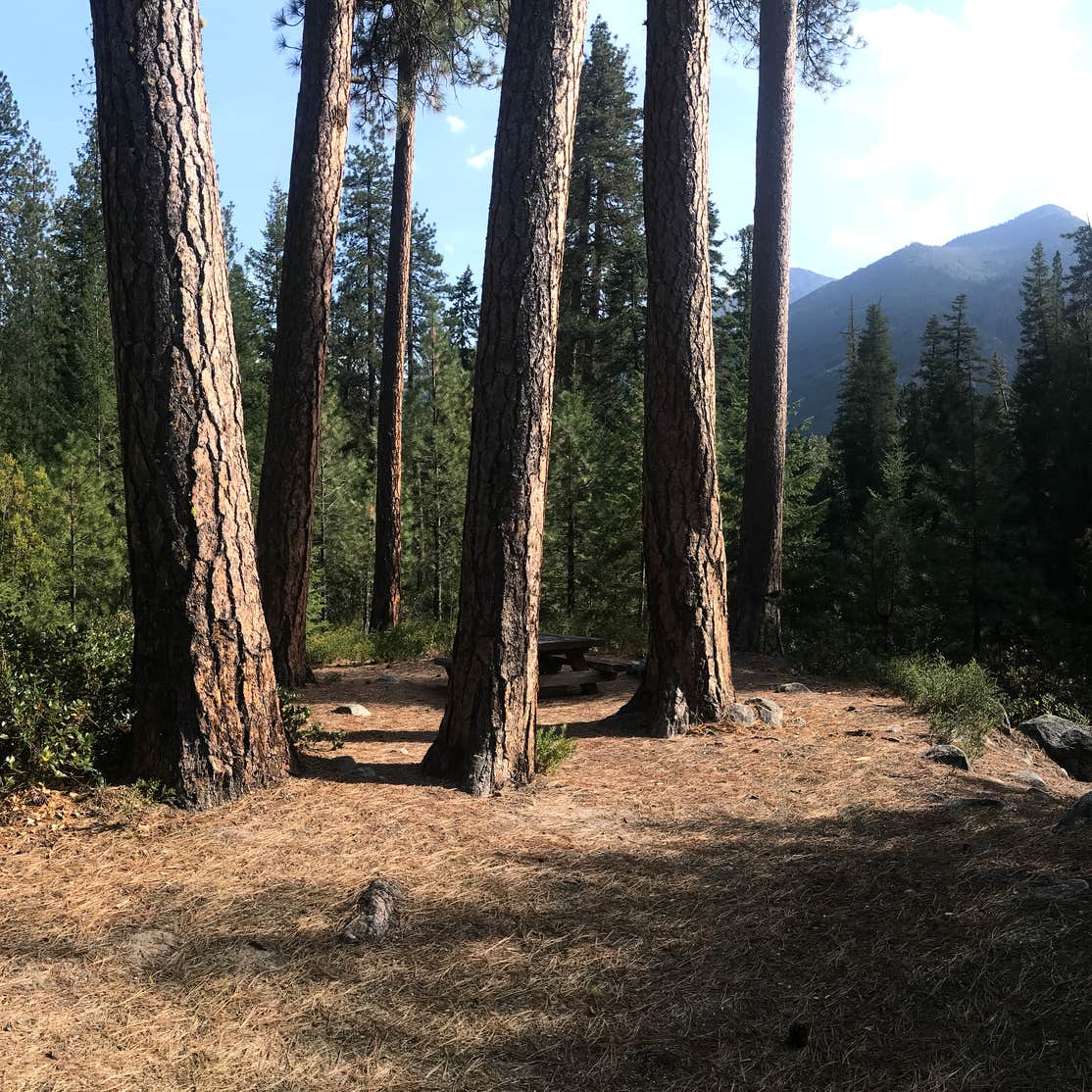 Lake Creek Campground - Entiat River | Ardenvoir, Washington