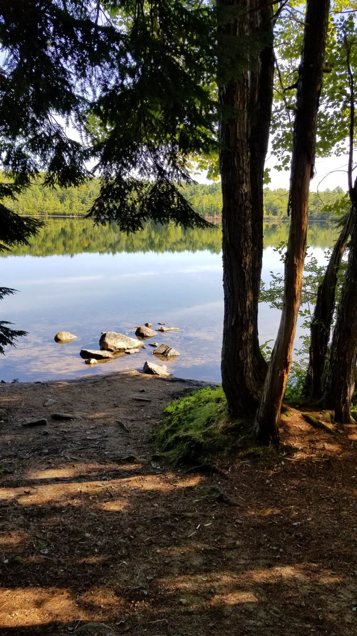 Terrace Pines Camping Area | Center Ossipee, NH