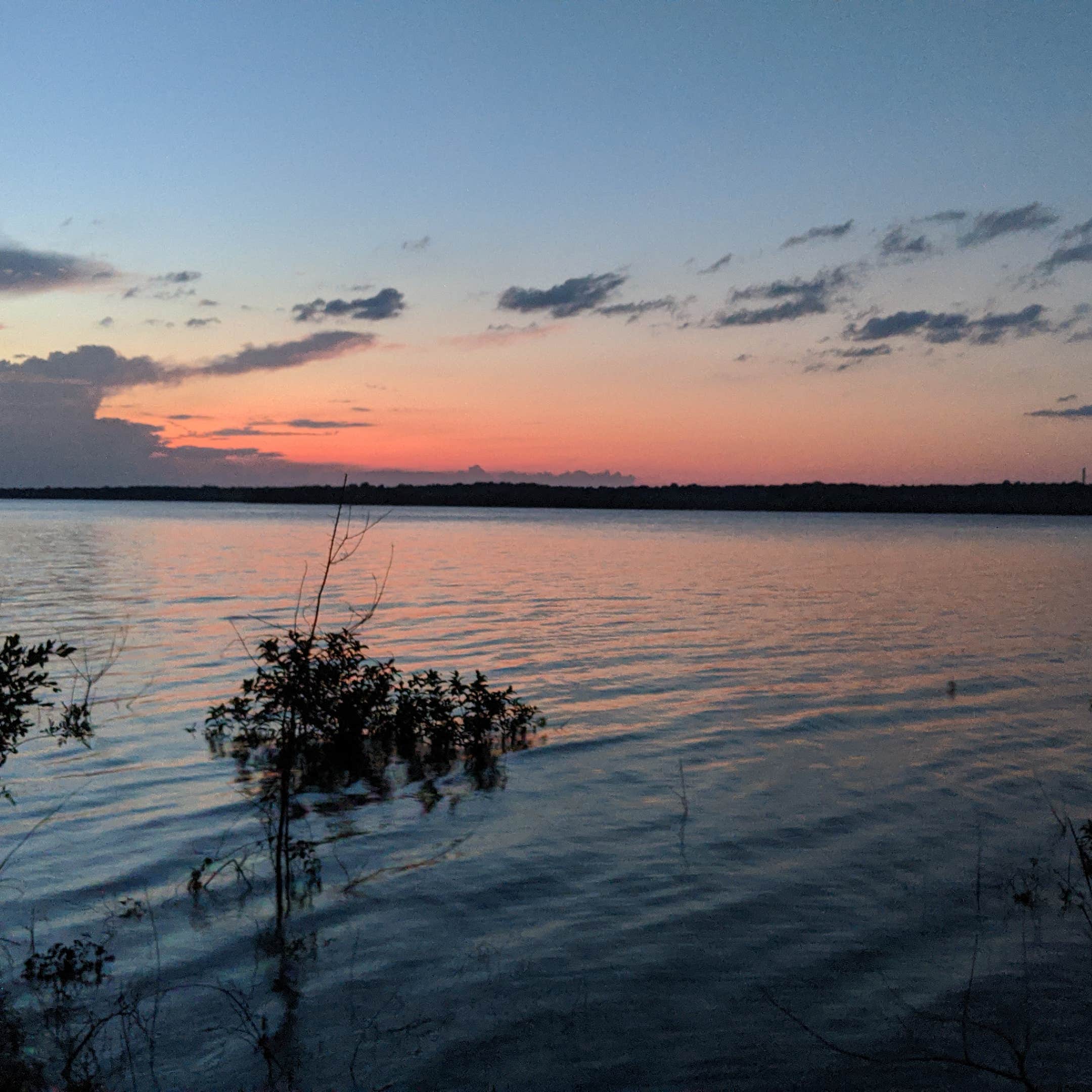 Jackson Bay Recreation Area Camping | The Dyrt