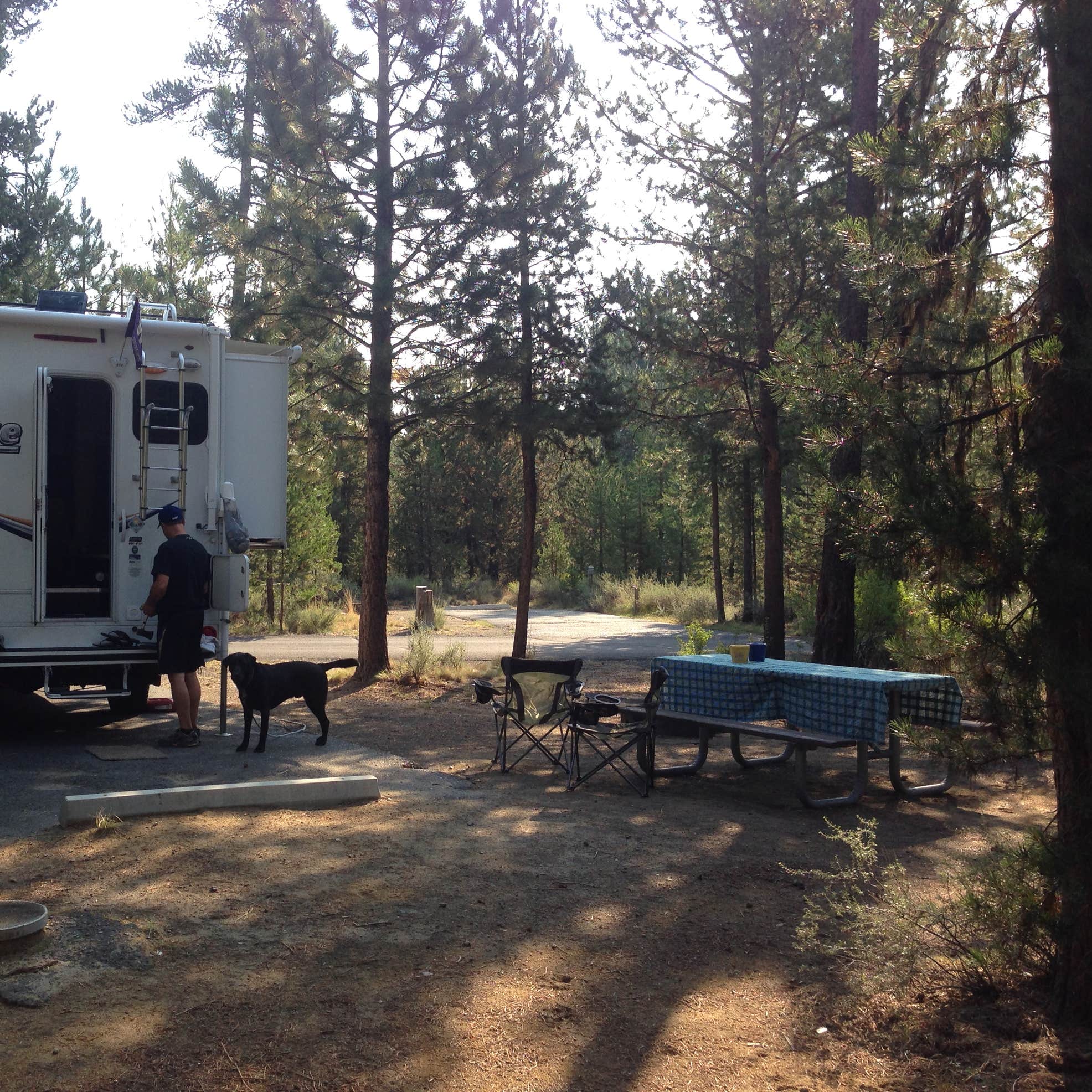 LaPine State Park Camping | The Dyrt