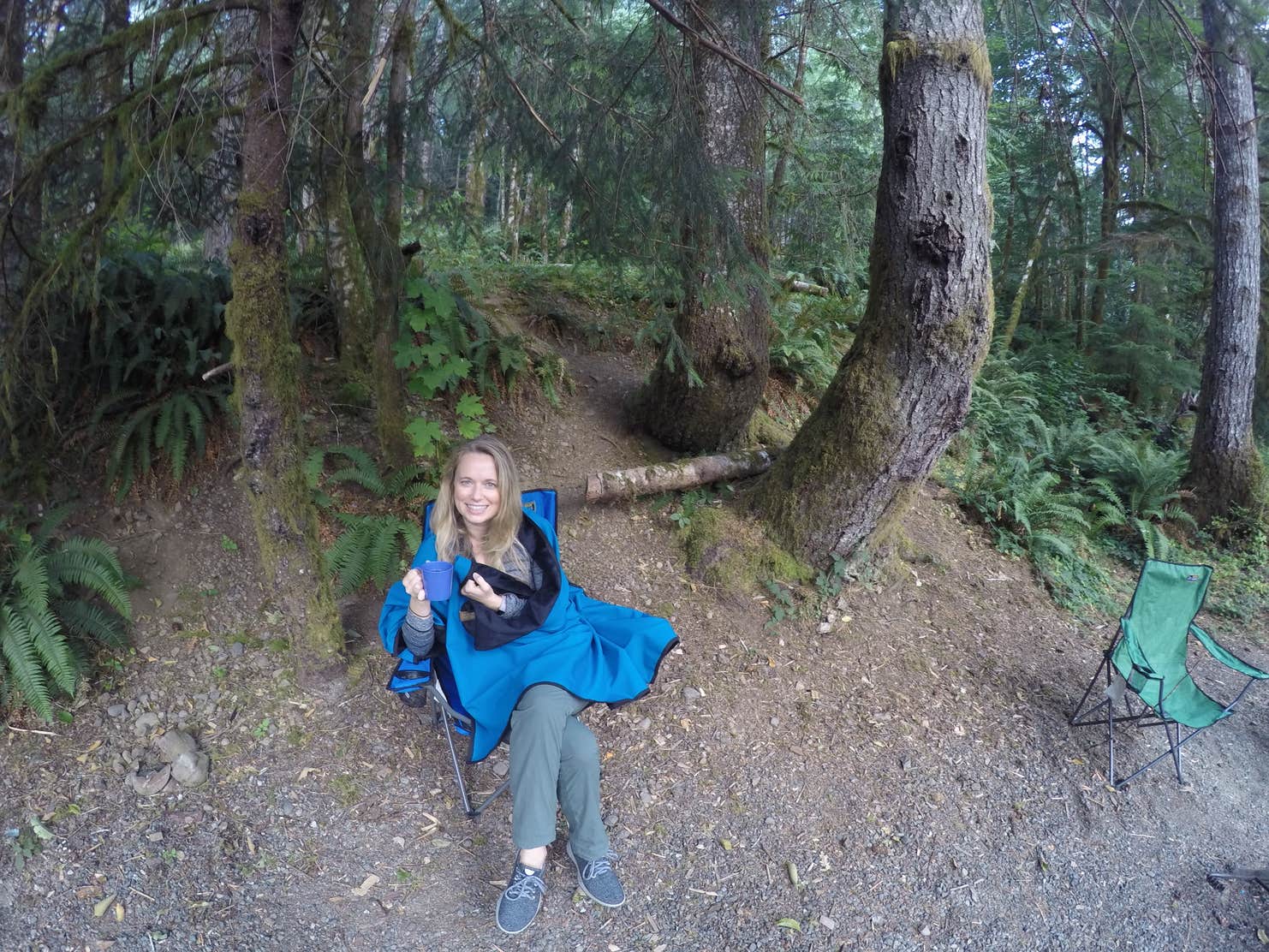 Wynoochee Lake Shore Trailhead - Coho Campground | The Dyrt