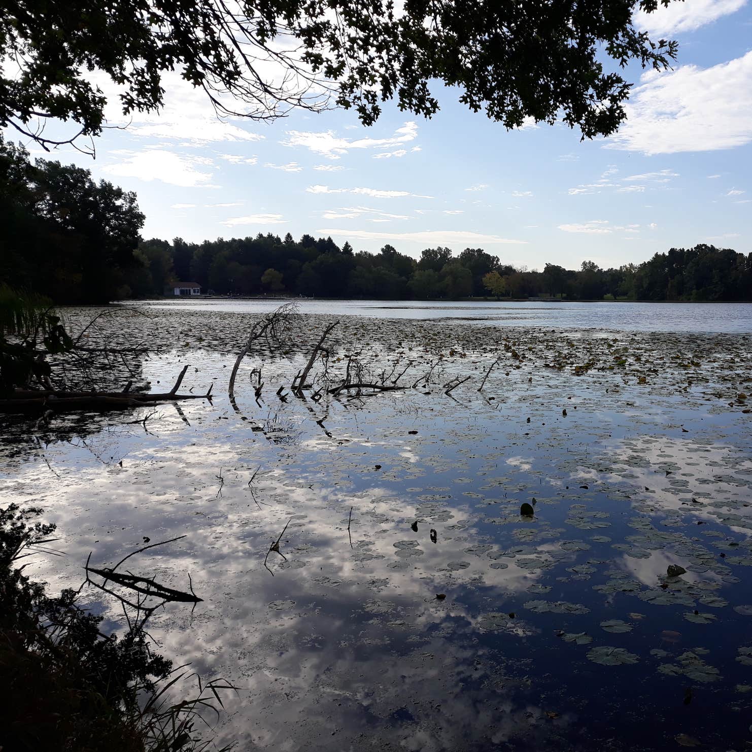 Addison Oaks County Park Camping | Lakeville, Michigan