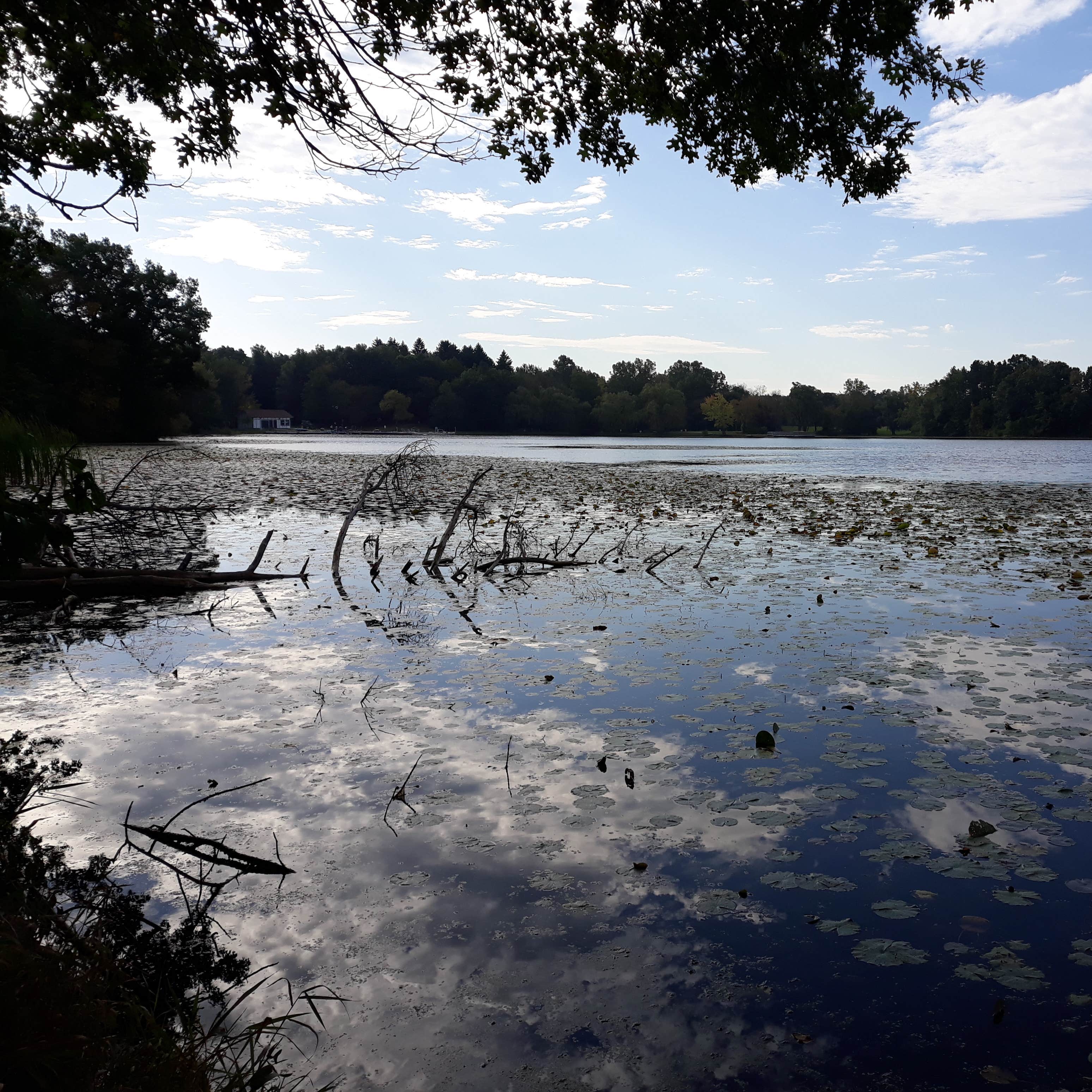 Addison Oaks County Park Camping | Lakeville, Michigan