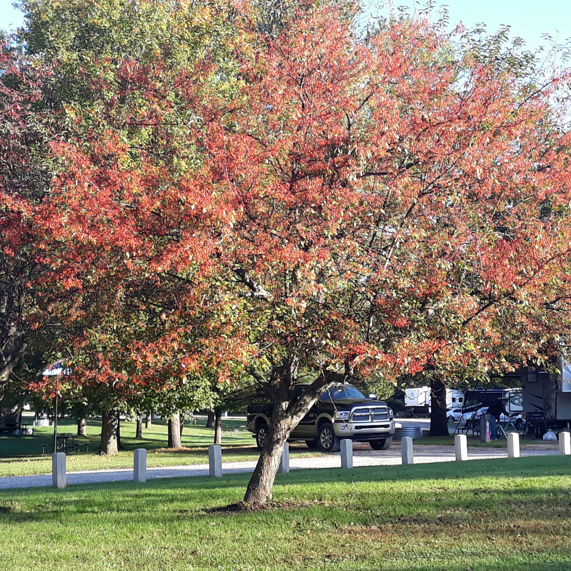 Addison Oaks County Park Camping | The Dyrt