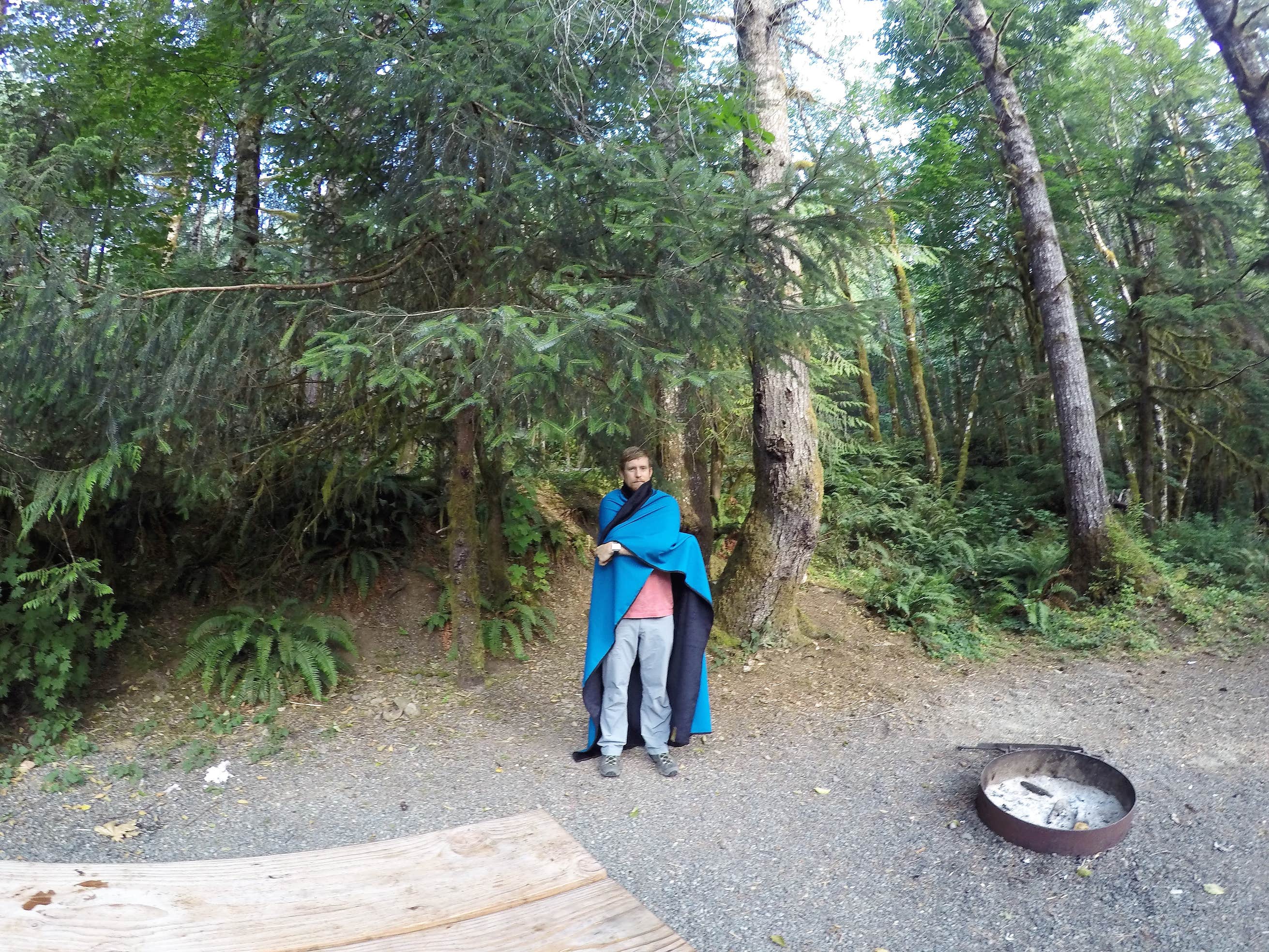 Wynoochee Lake Shore Trailhead - Coho Campground | The Dyrt
