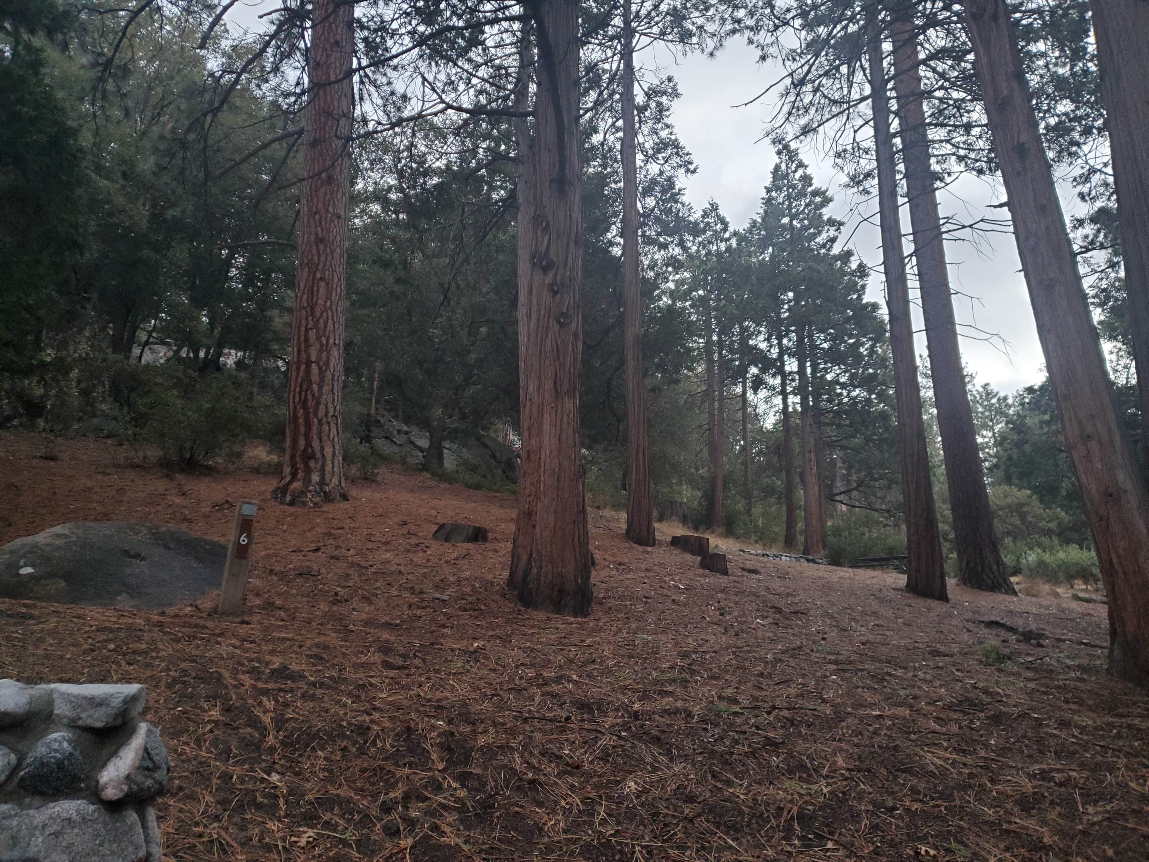 Idyllwild County Park | The Dyrt
